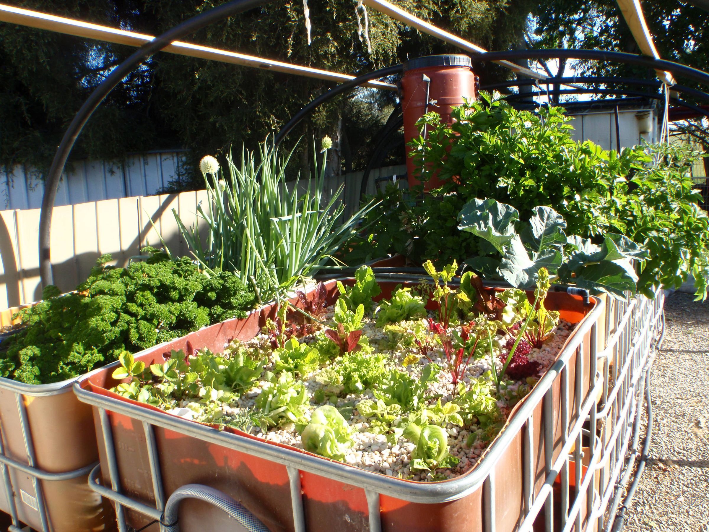 Vermiponic Garden : 12 Steps (with Pictures) - Instructables