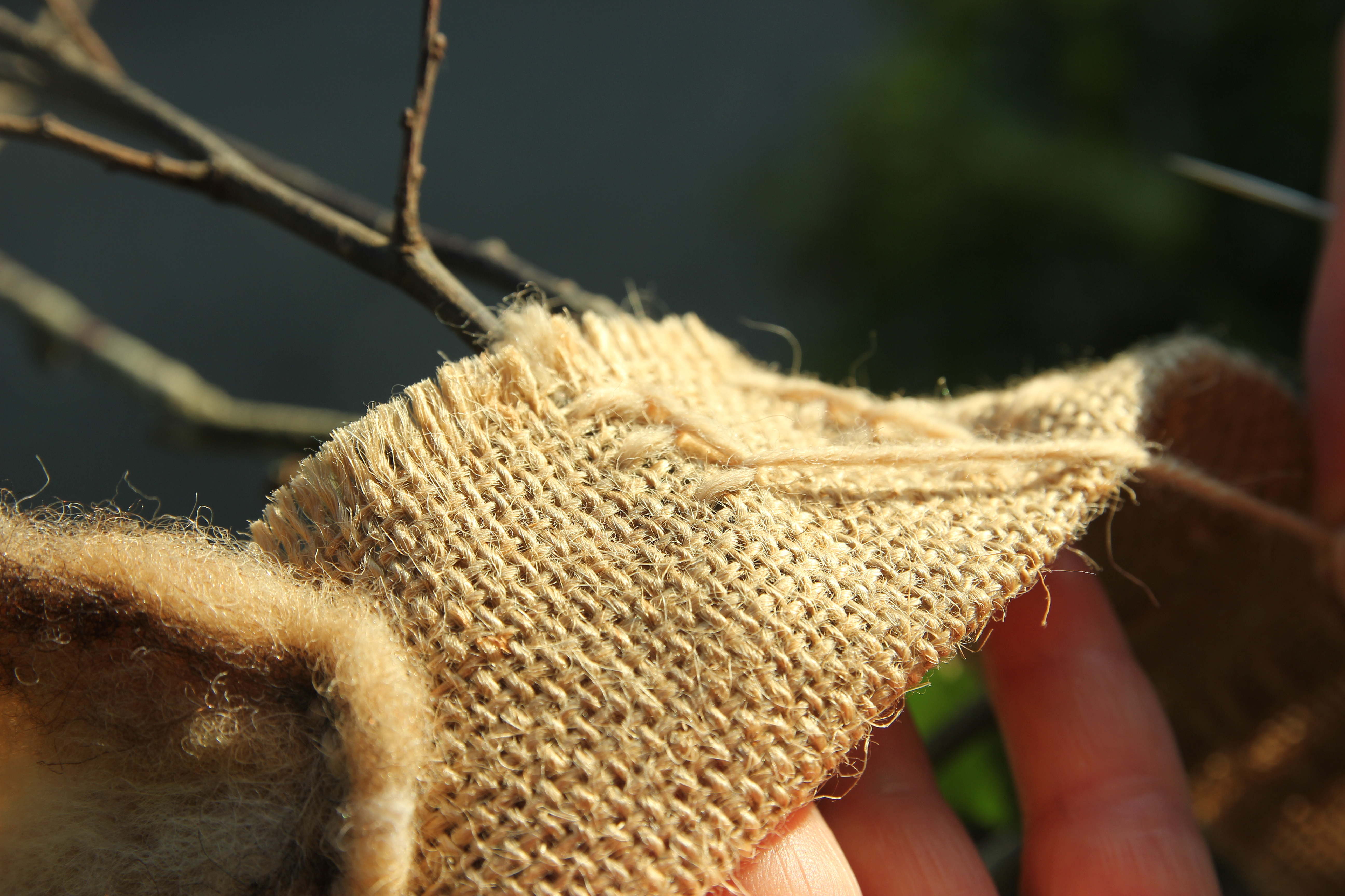Woodland Spirit Twig Crown With Fawn Ears : 5 Steps - Instructables