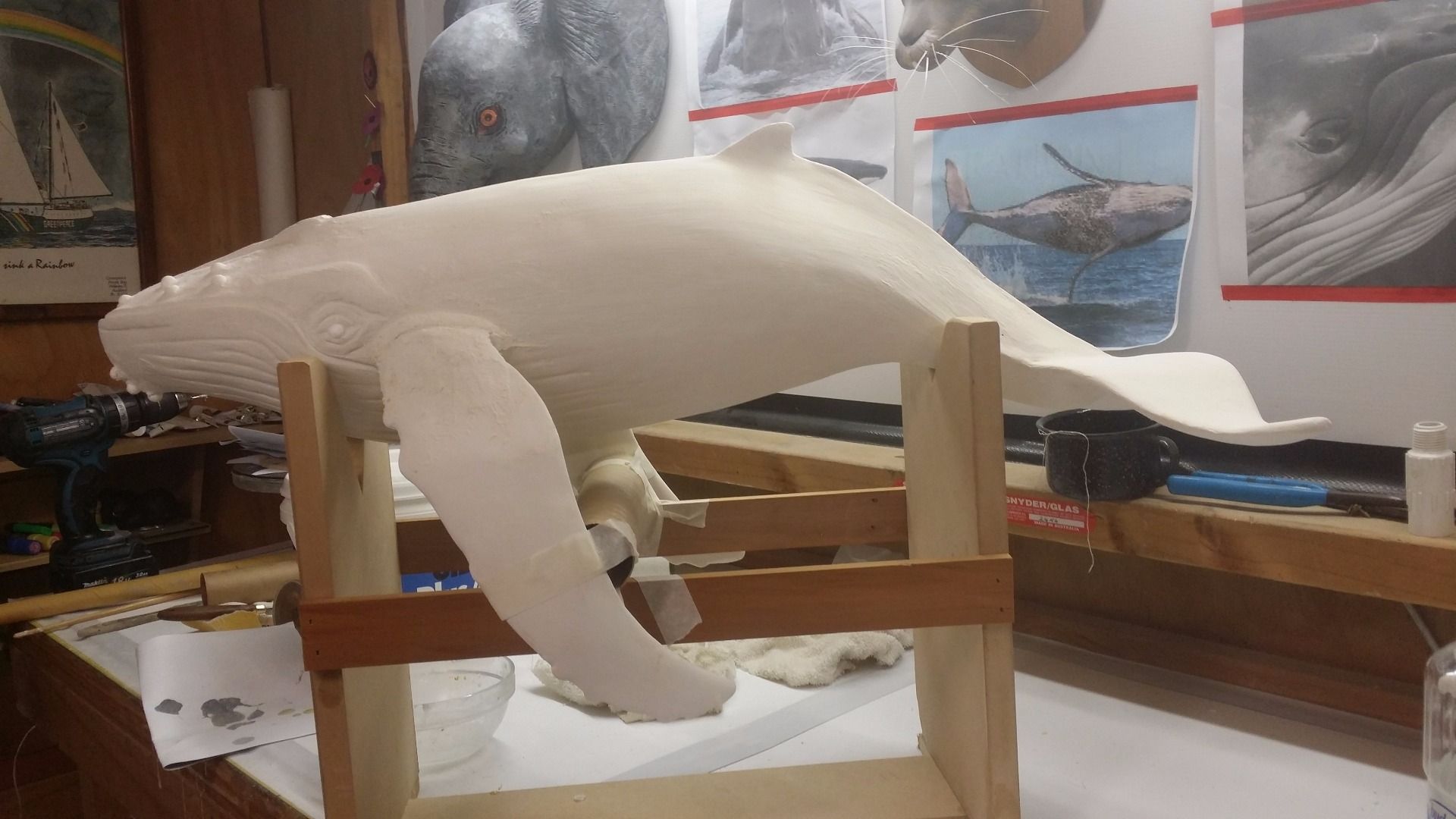 Humpback Whales : 4 Steps (with Pictures) - Instructables