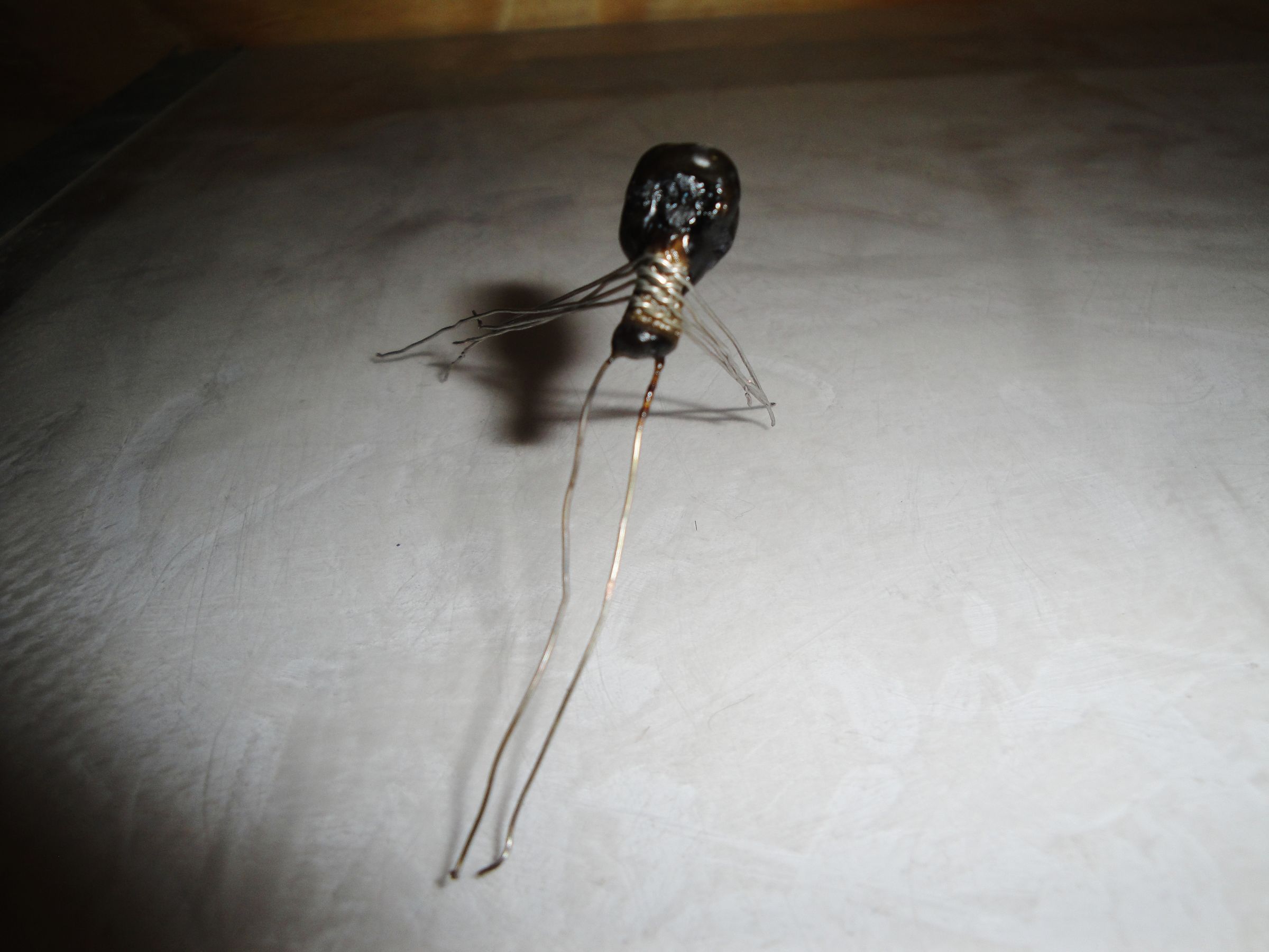 Realistic Spider (Life-Size Prop) : 7 Steps (with Pictures) - Instructables