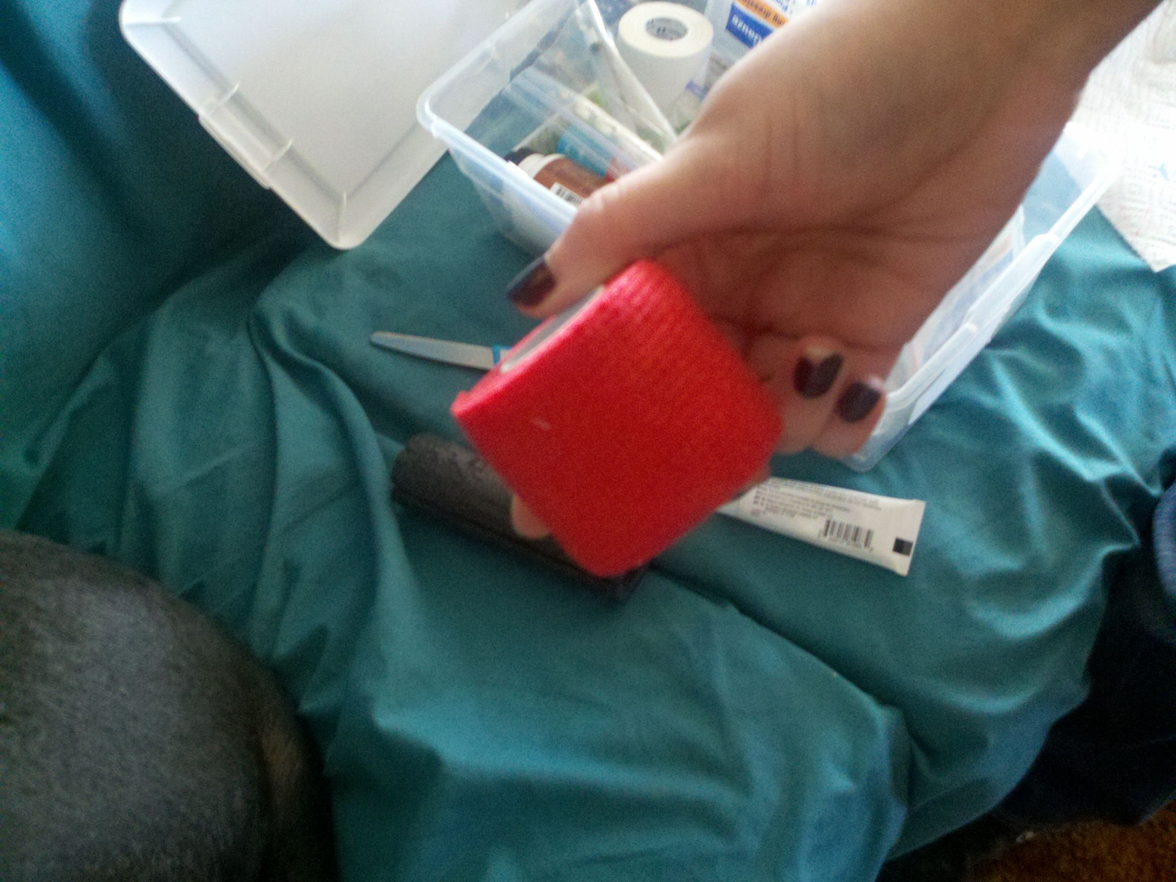 Happy Tail Solution : 5 Steps - Instructables