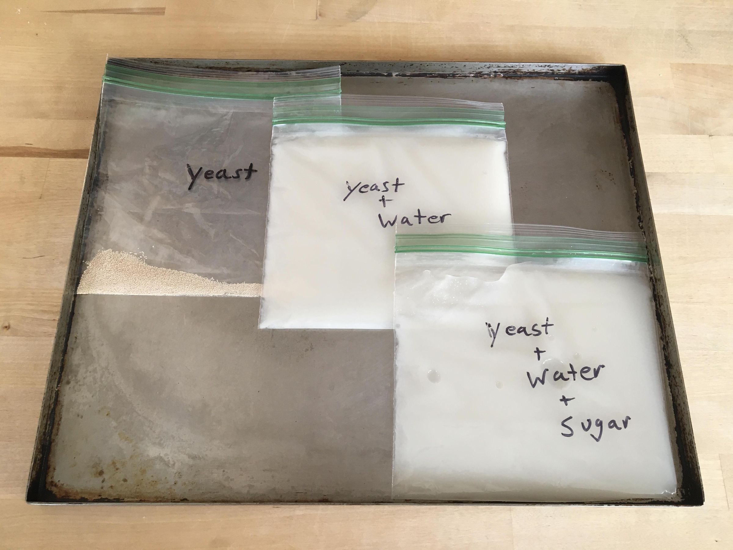 Yeast Experiments and Bread in a Bag : 5 Steps - Instructables