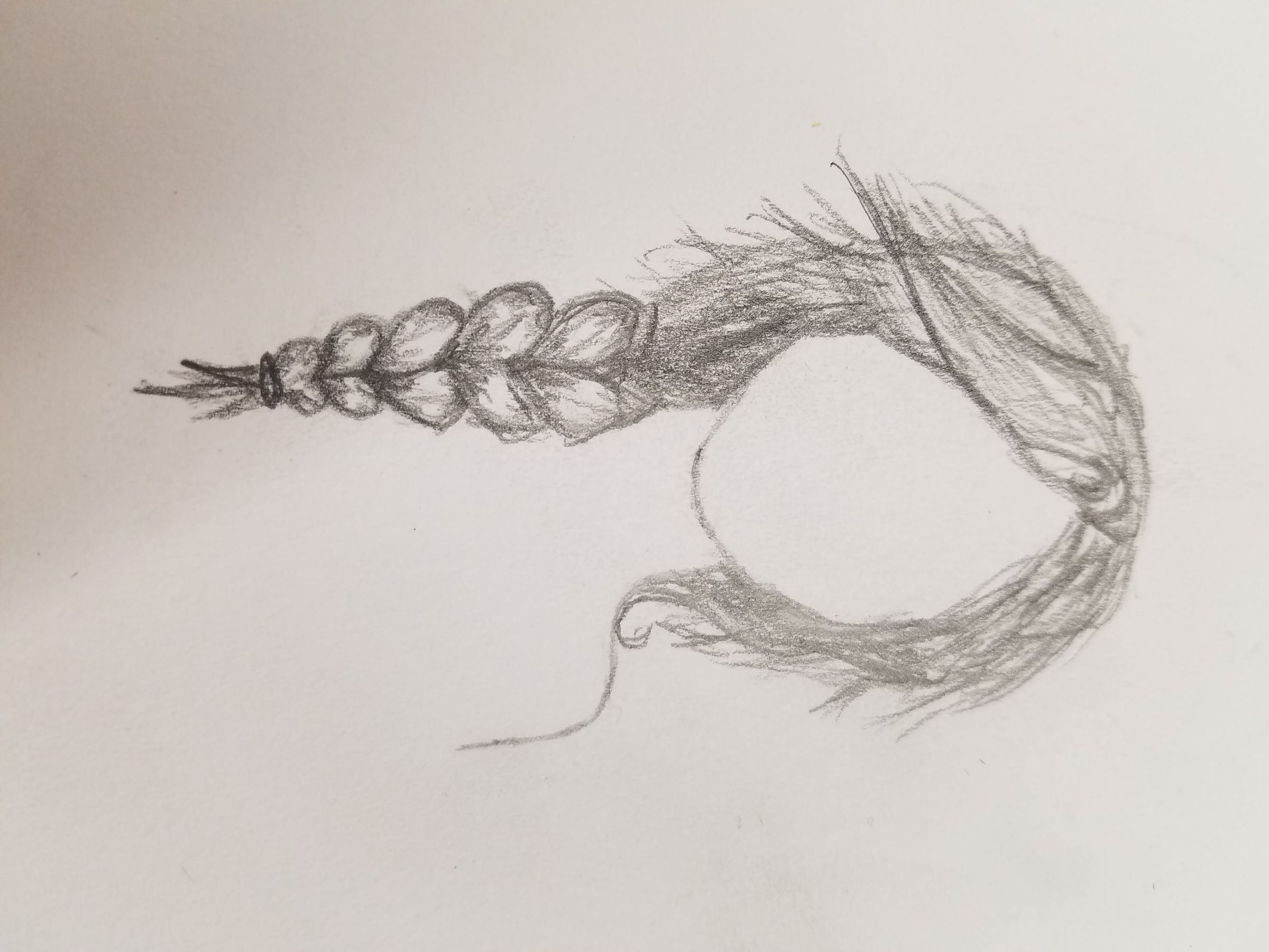 How to draw rope step by step - lasopaperks