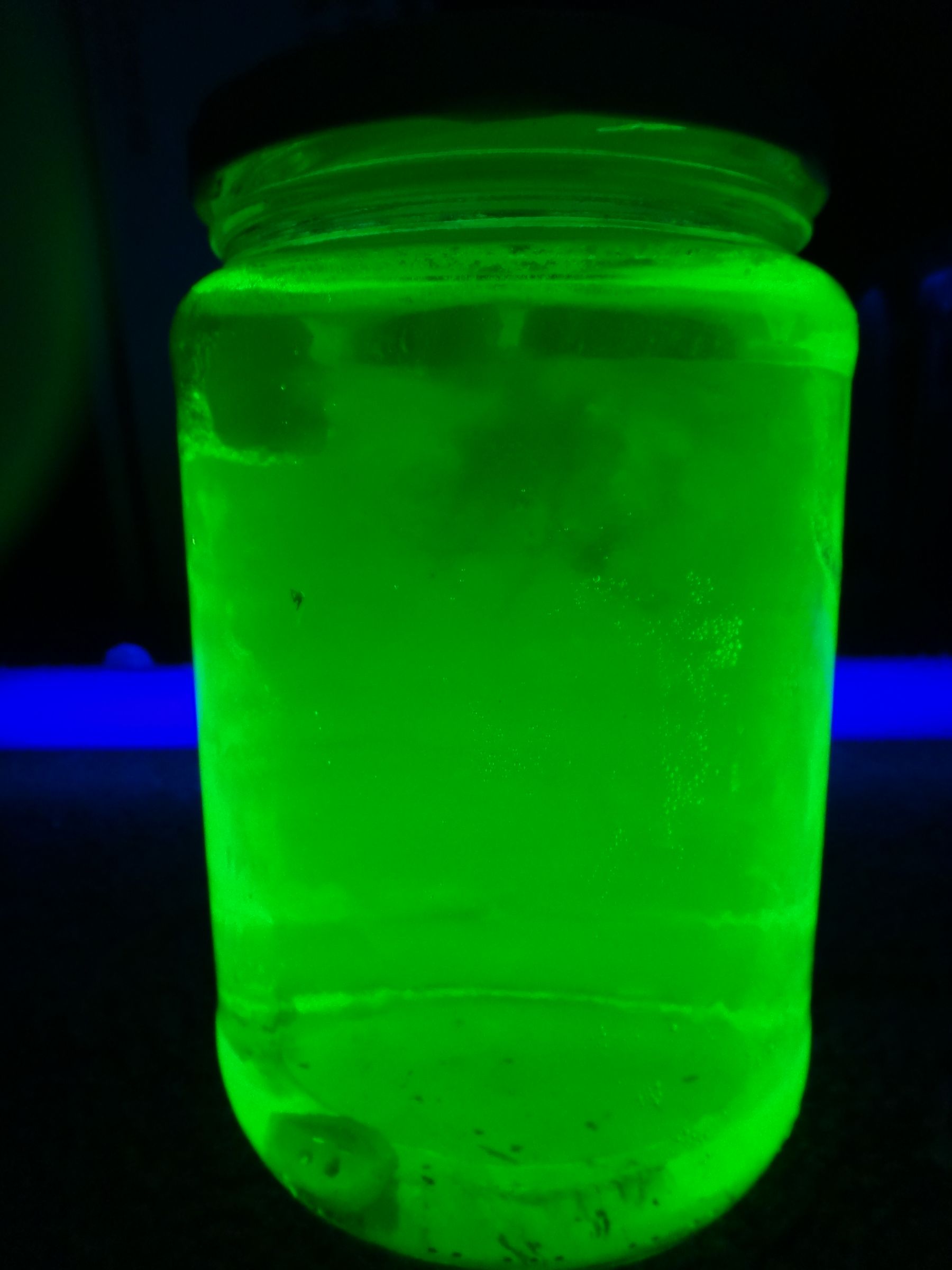 How to Make a Glowing Black Light Night Light : 4 Steps - Instructables