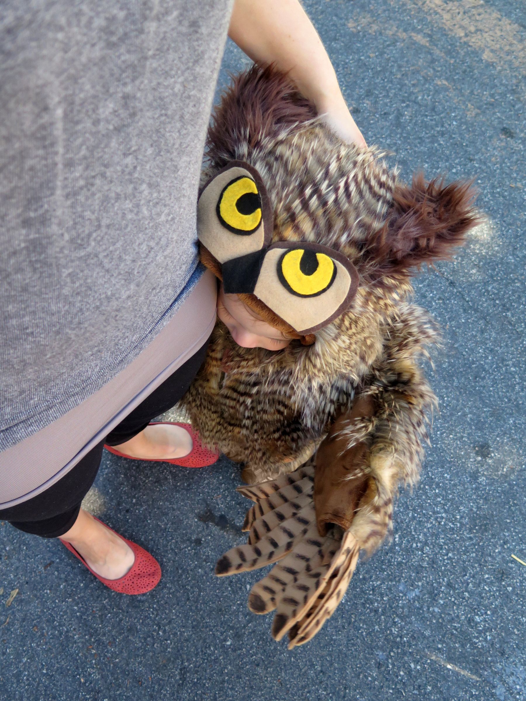 Make an Owl Costume : 13 Steps (with Pictures) - Instructables