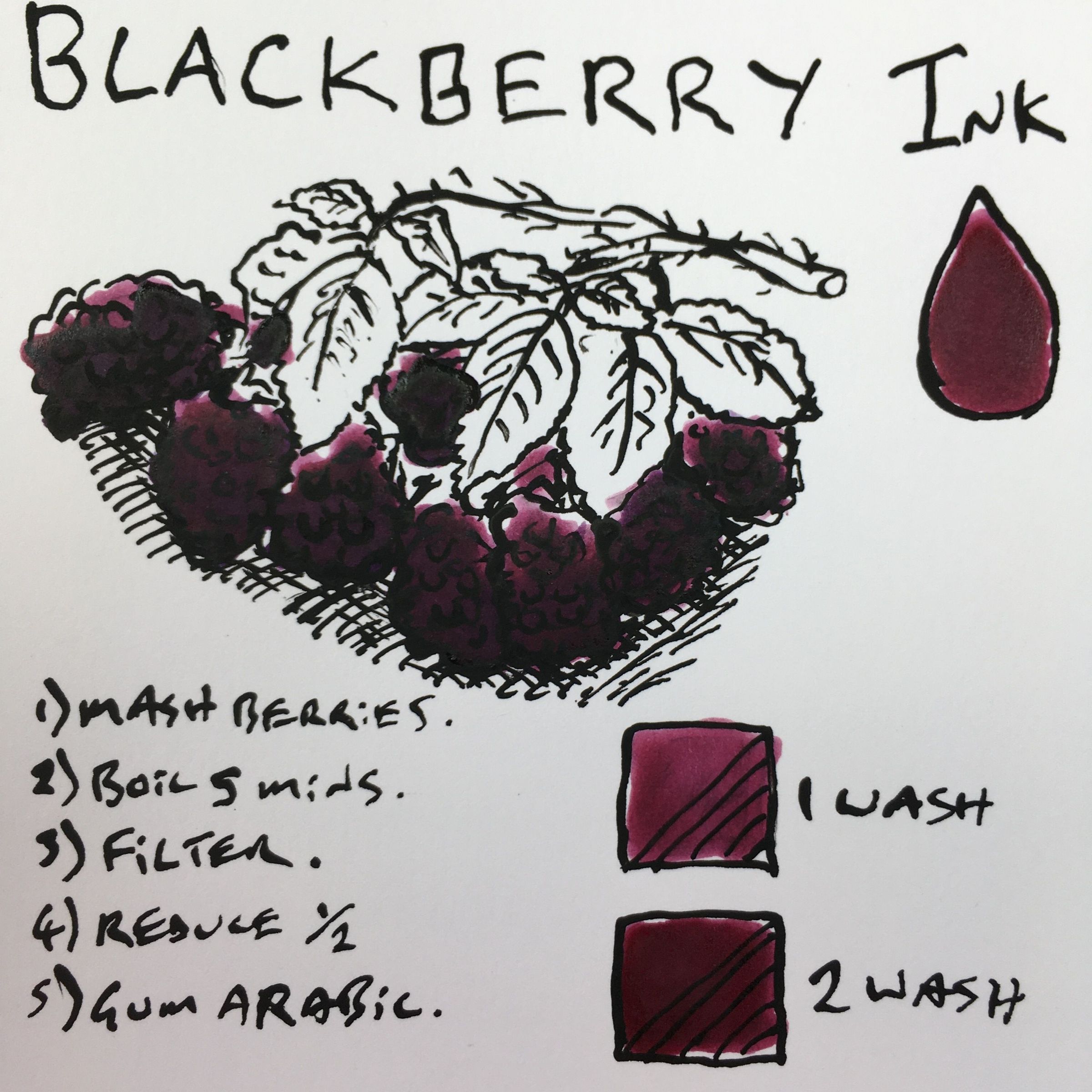 Home Made Ink From Nature: Perfect Purples : 18 Steps (with Pictures ...
