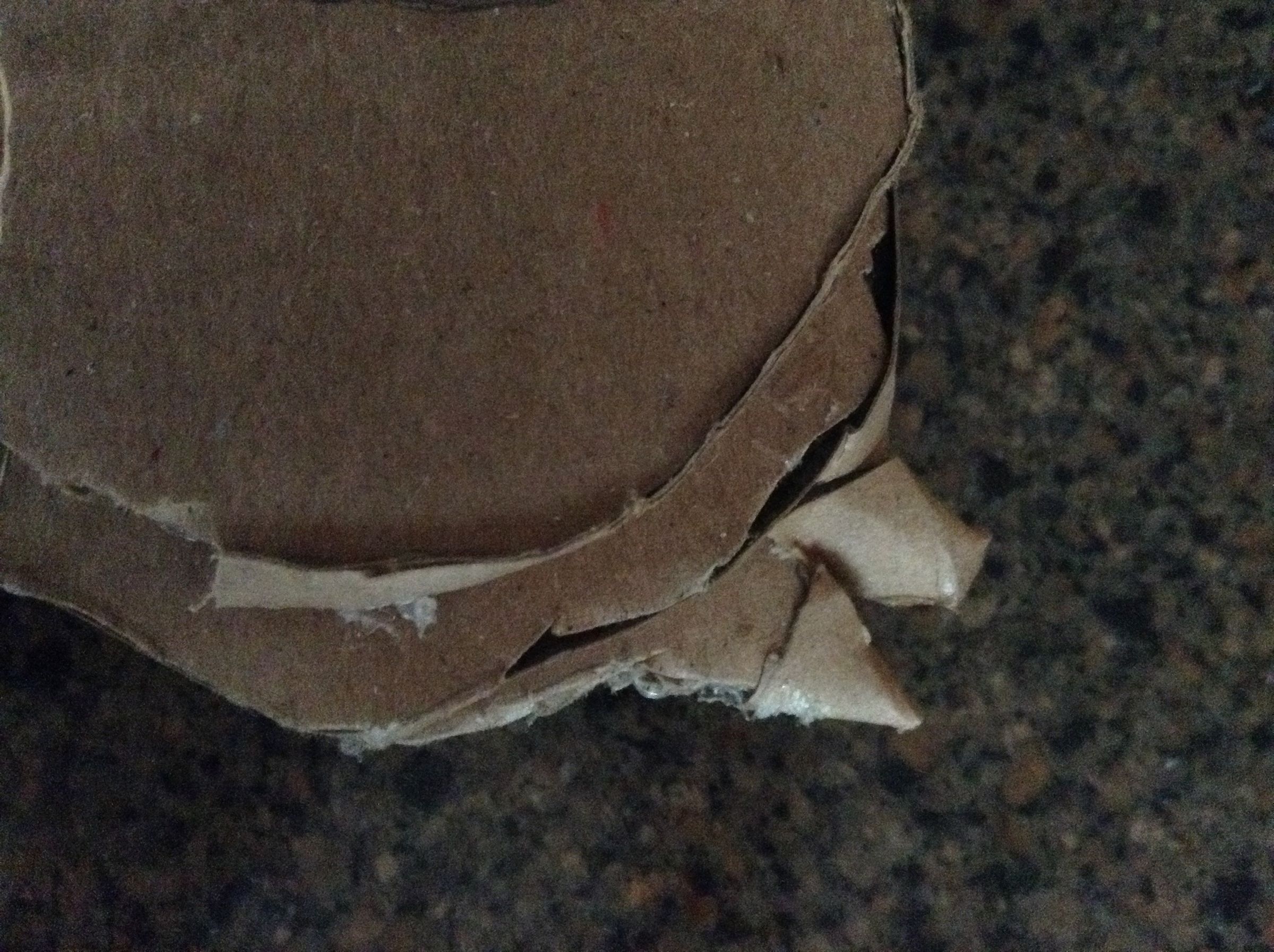 3D Cardboard Gun Model : 10 Steps (with Pictures) - Instructables