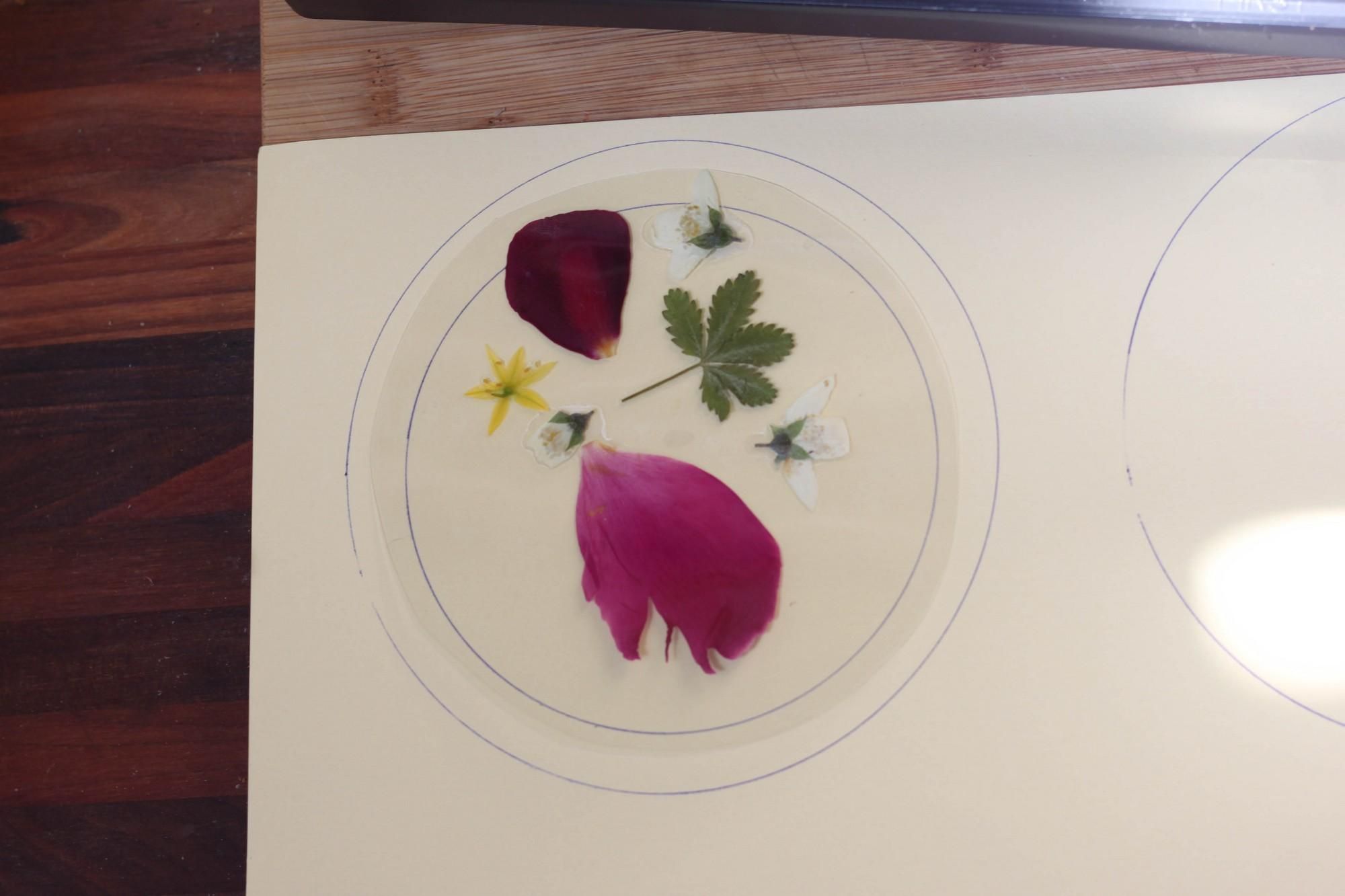 Flower Sun Catcher : 5 Steps (with Pictures) - Instructables
