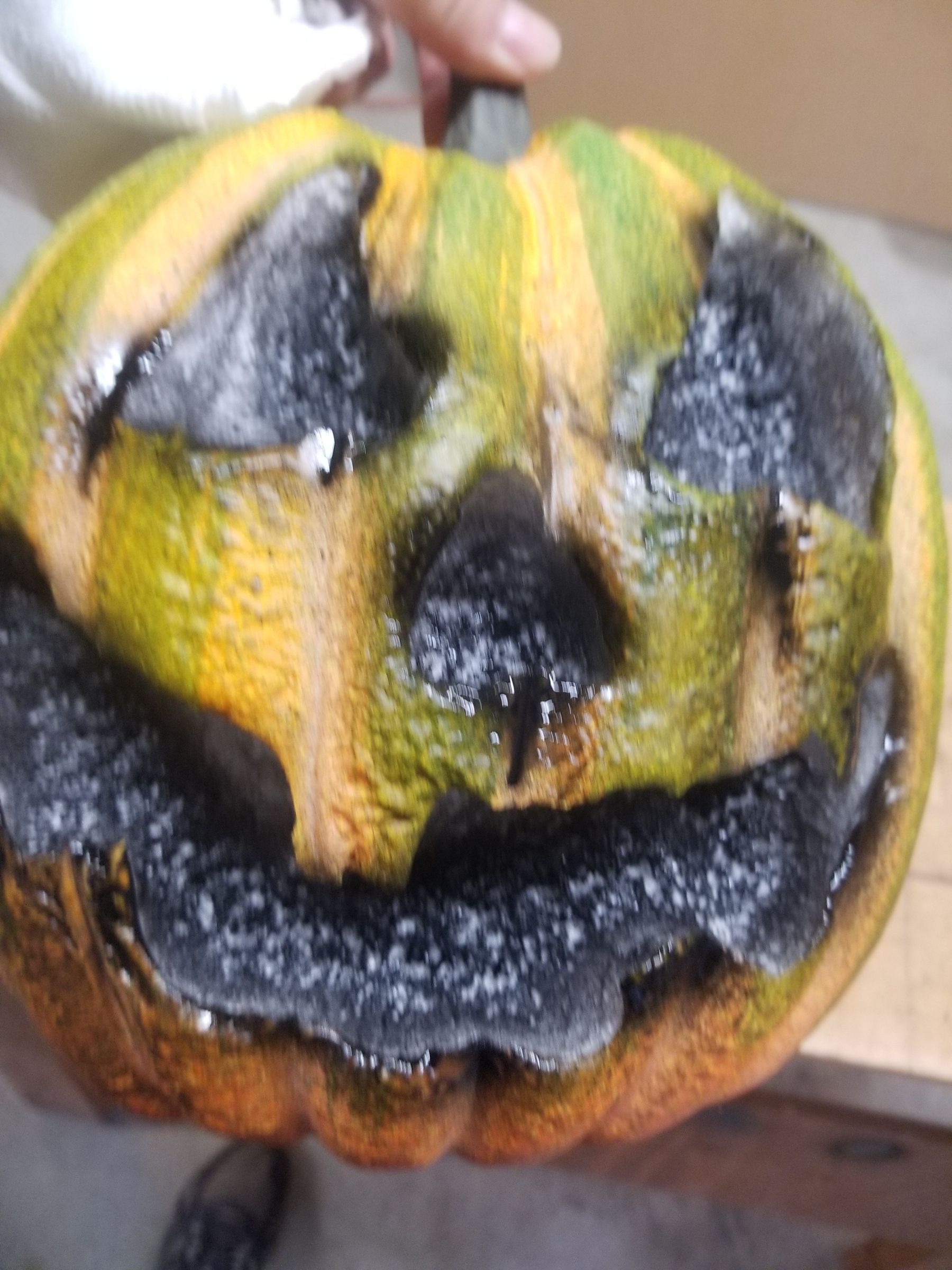 Rotten Pumpkins : 4 Steps (with Pictures) - Instructables