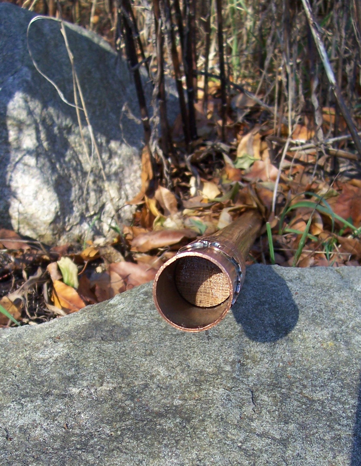 Multi-Function Walking Stick II - Storage Compartment : 10 Steps (with ...