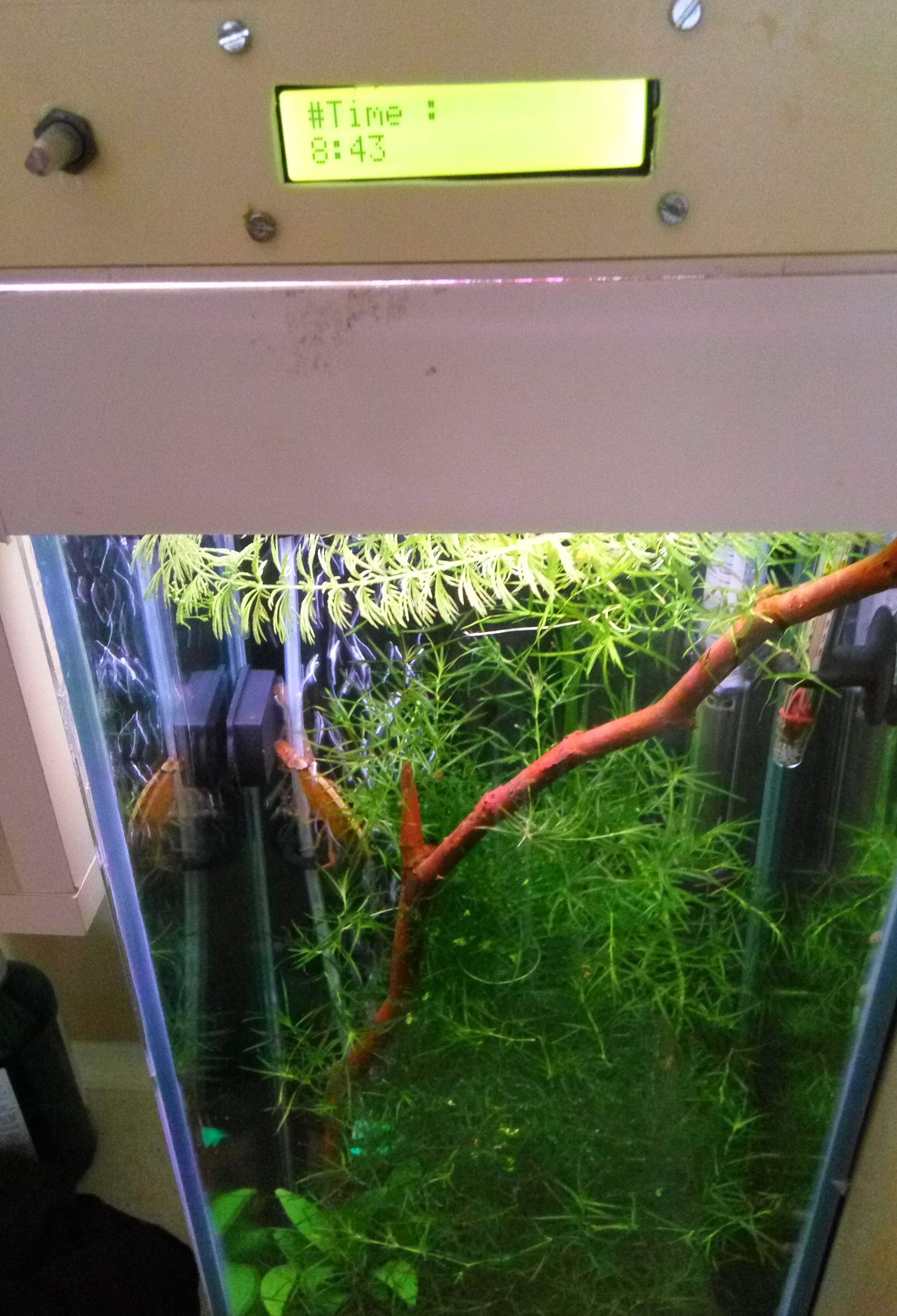 Arduino Aquarium LED Controller : 3 Steps (with Pictures) - Instructables