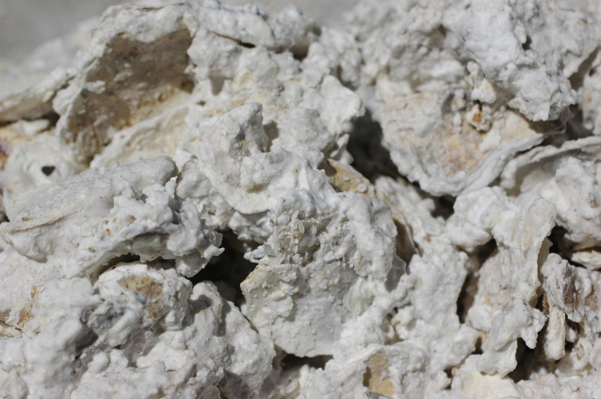 Burn Seashell Lime in a Primitive Straw/Clay Kiln! : 10 Steps (with ...