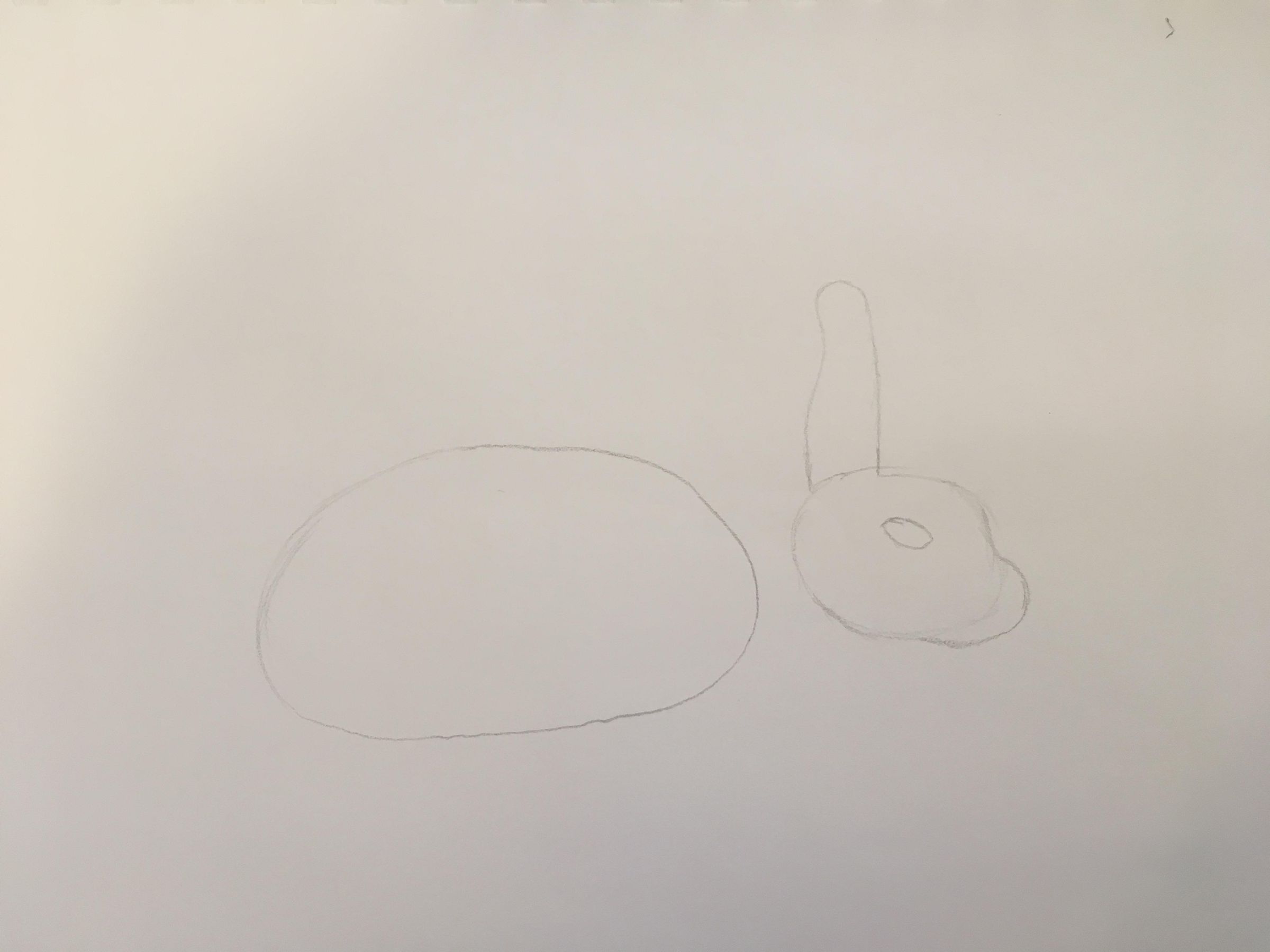 How to Draw a Realistic Bunny (standing) : 26 Steps - Instructables