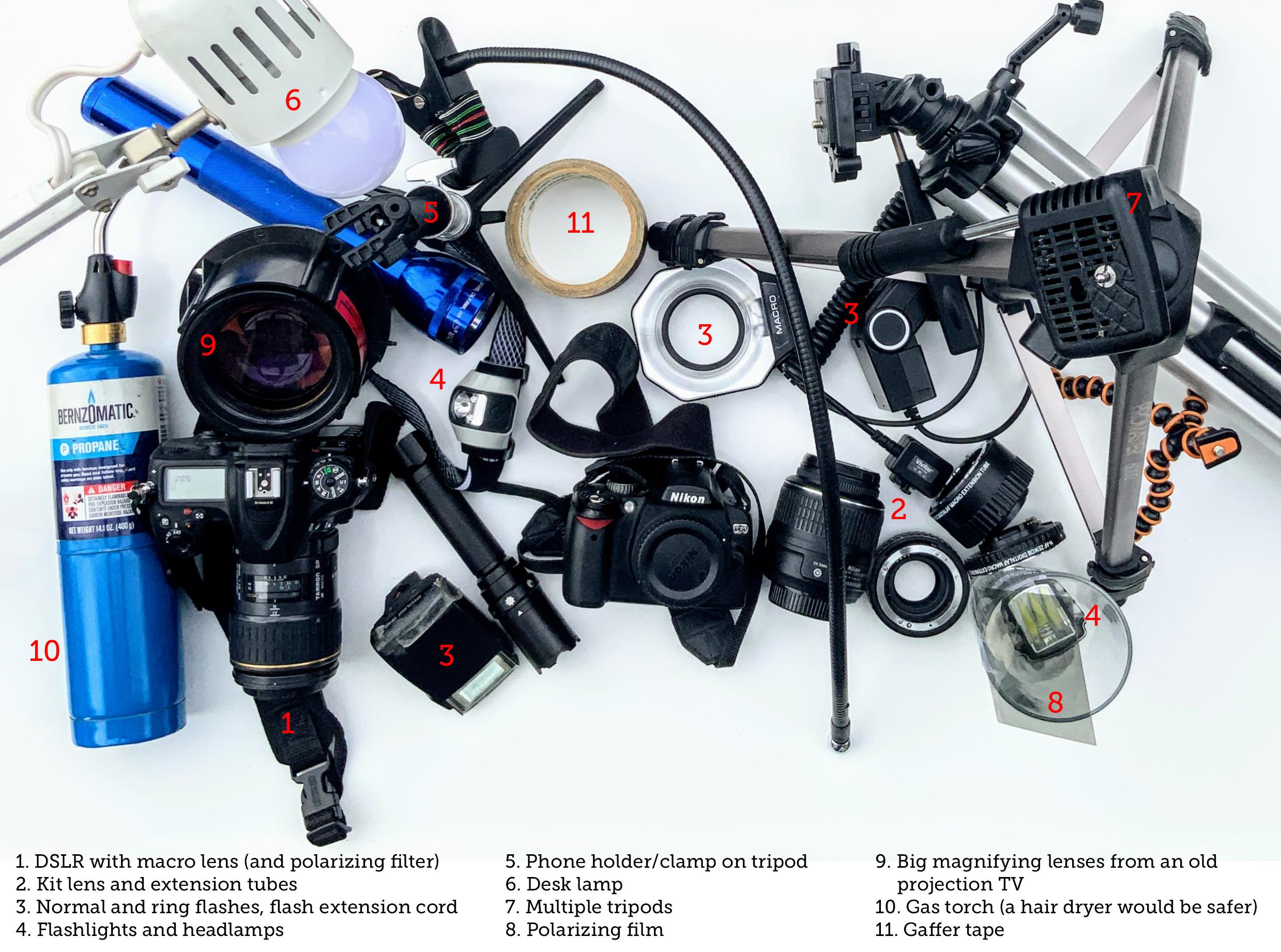 Ice Photography: Mind-blowing Macro : 14 Steps (with Pictures ...