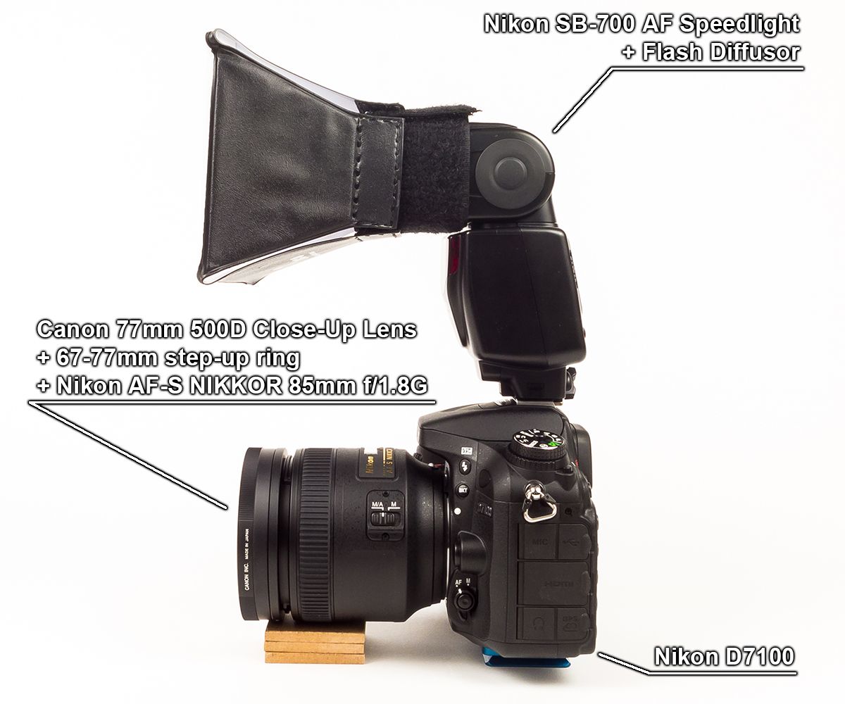 DSLR Macro Photography: a Comprehensive Overview : 22 Steps (with ...