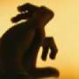 Basic Shadow Puppets : 4 Steps - Instructables