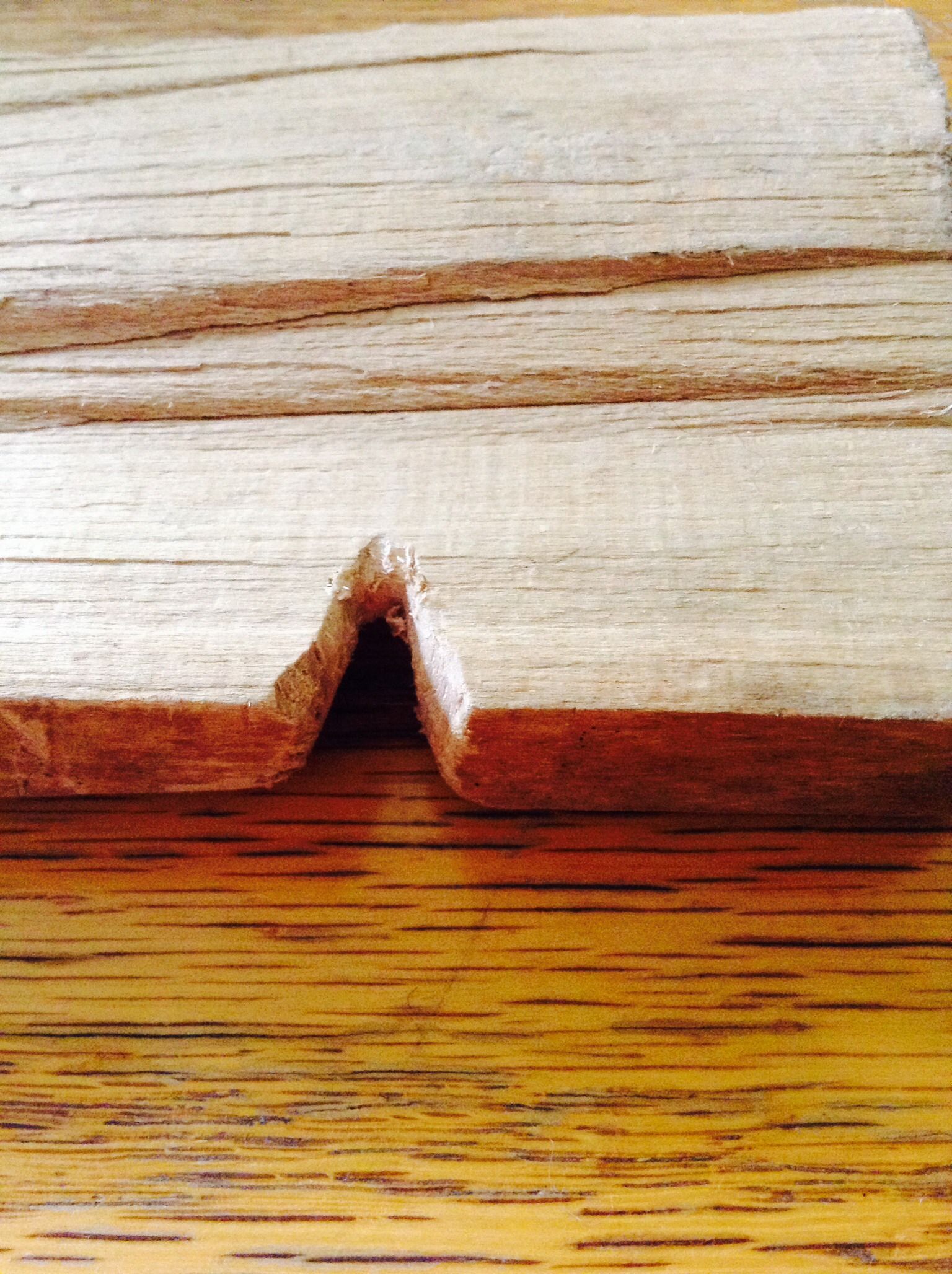 Friction Fire Making : 7 Steps (with Pictures) - Instructables