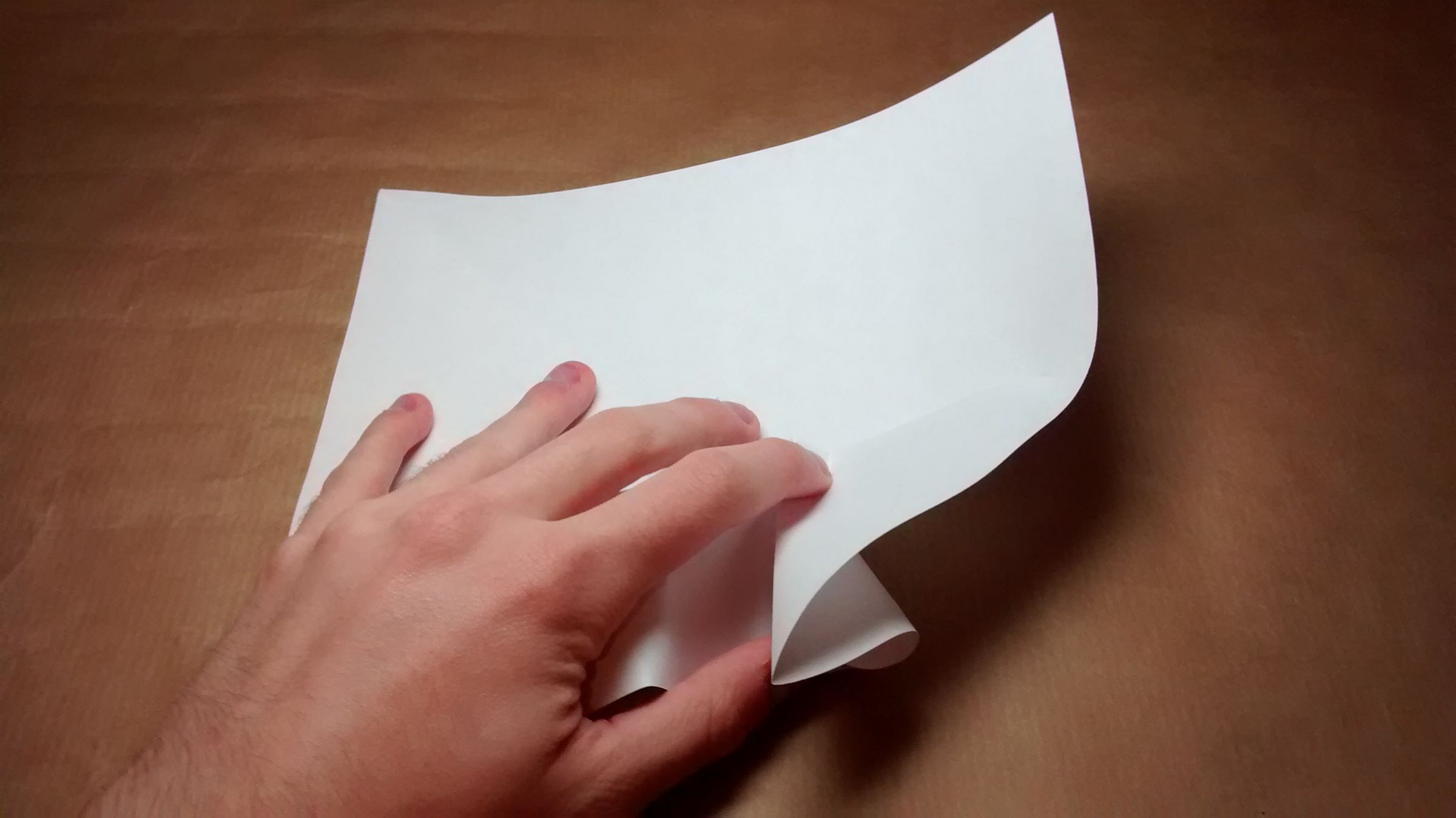 Pet Origami Rock and Manual : 4 Steps - Instructables