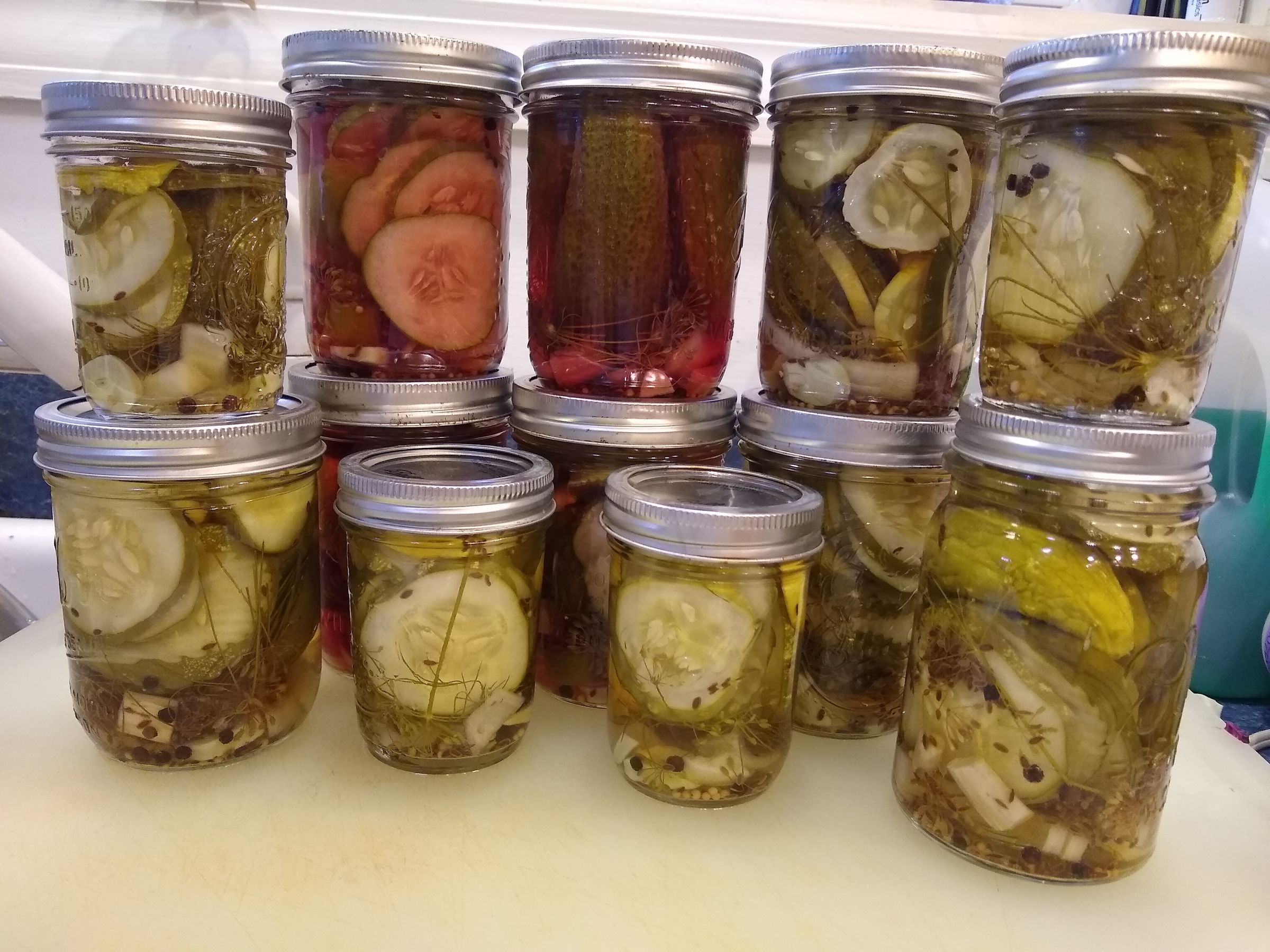 My Best Vegetable Trellis: Durable, Collapsible, Flexible : 8 Steps ...