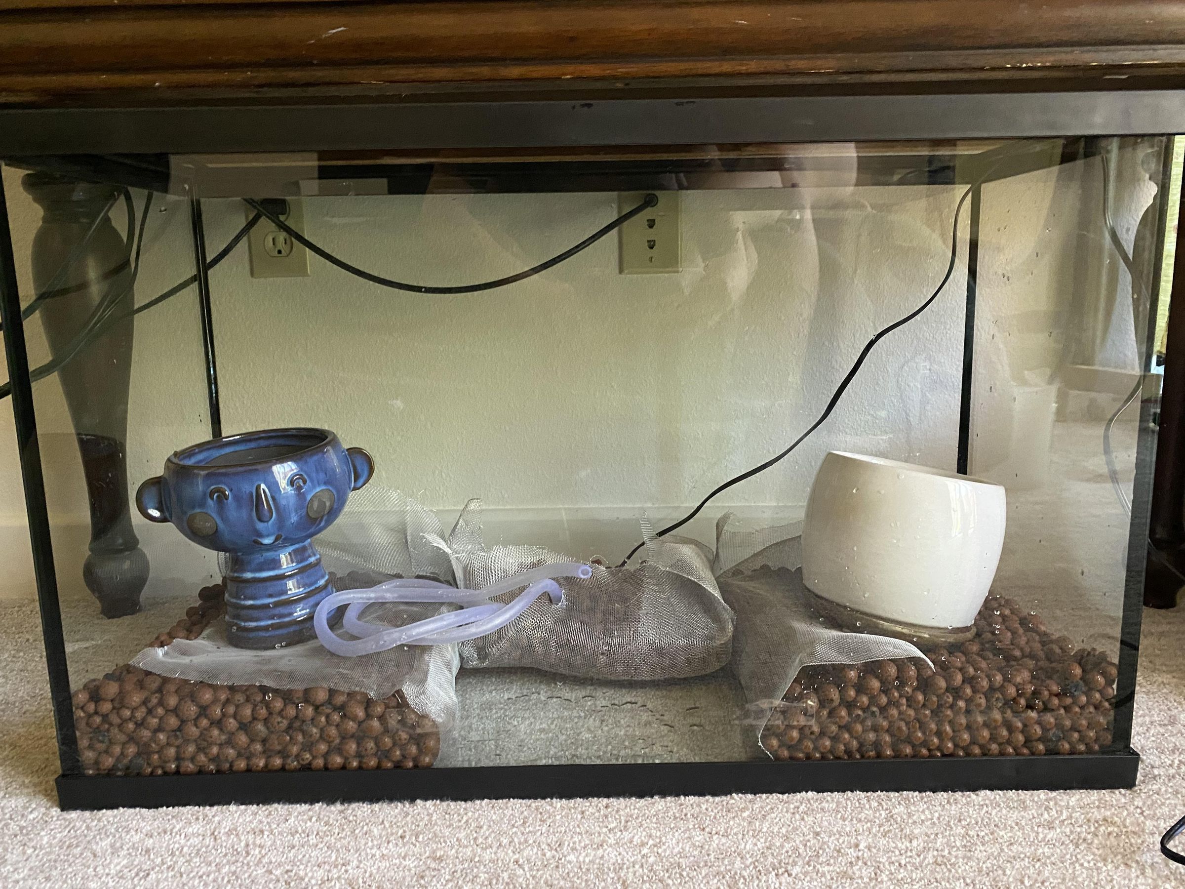 How to Build a Paludarium : 7 Steps (with Pictures) - Instructables
