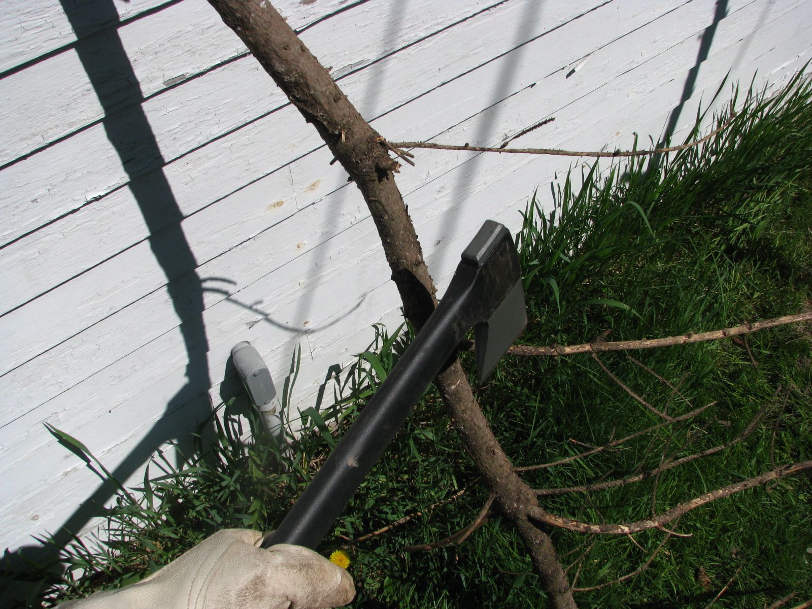 Trim a Tree, Build a Trellis - Instructables