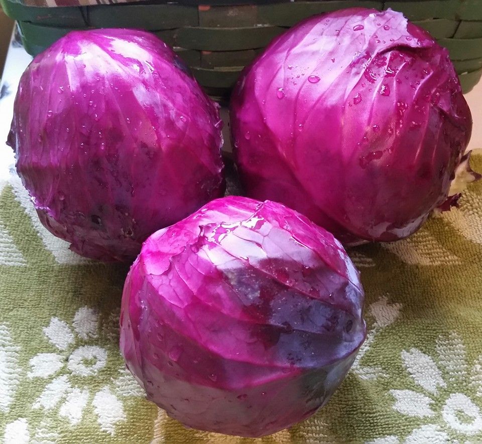 Super Fast, Super Healthy, Super Delicious Lunch - Instructables