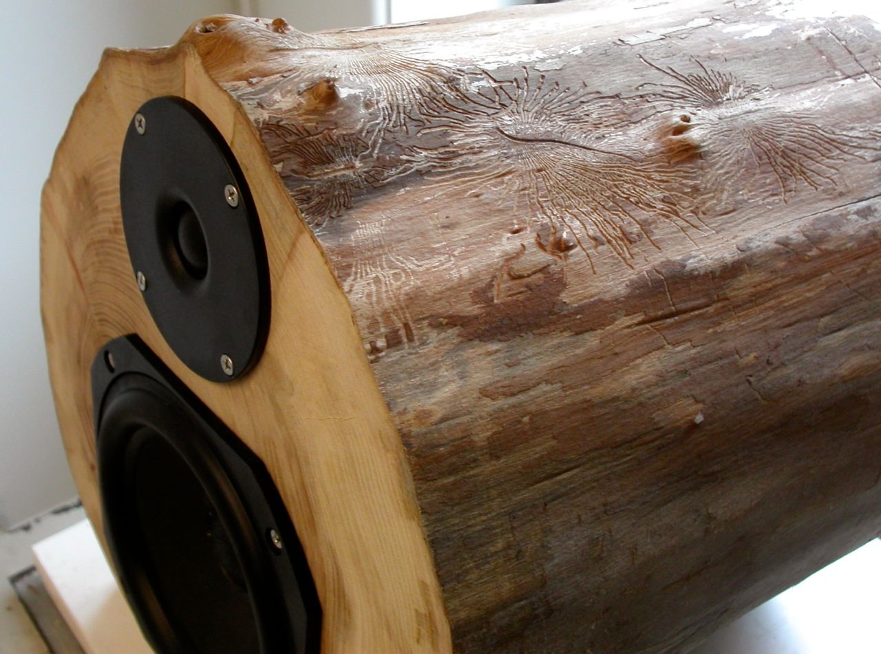 Tree Speakers : 10 Steps (with Pictures) - Instructables