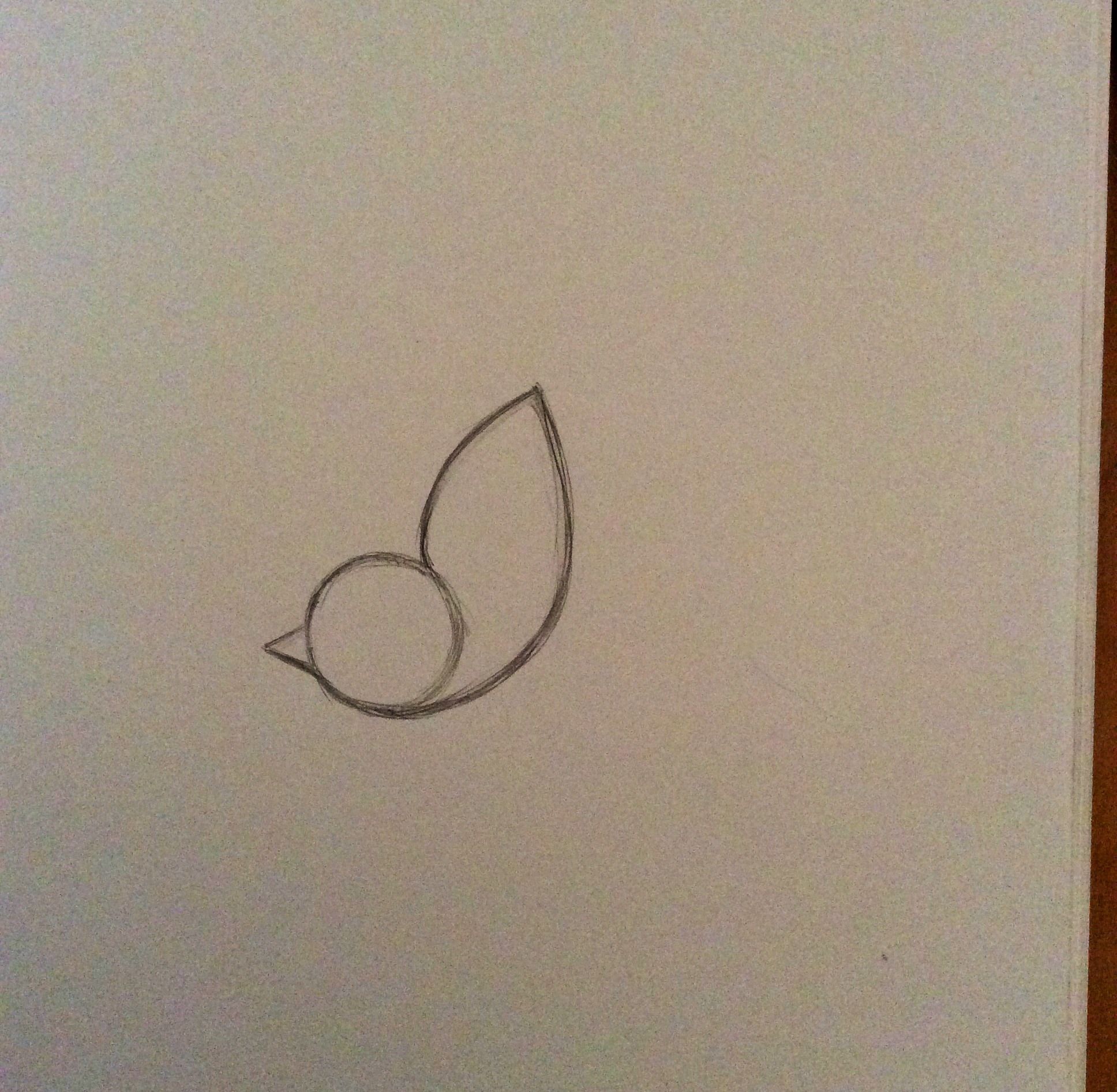 How to Draw a Swallow : 10 Steps (with Pictures) - Instructables