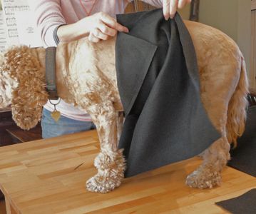 Felted Hair of the Dog Coat : 4 Steps (with Pictures) - Instructables