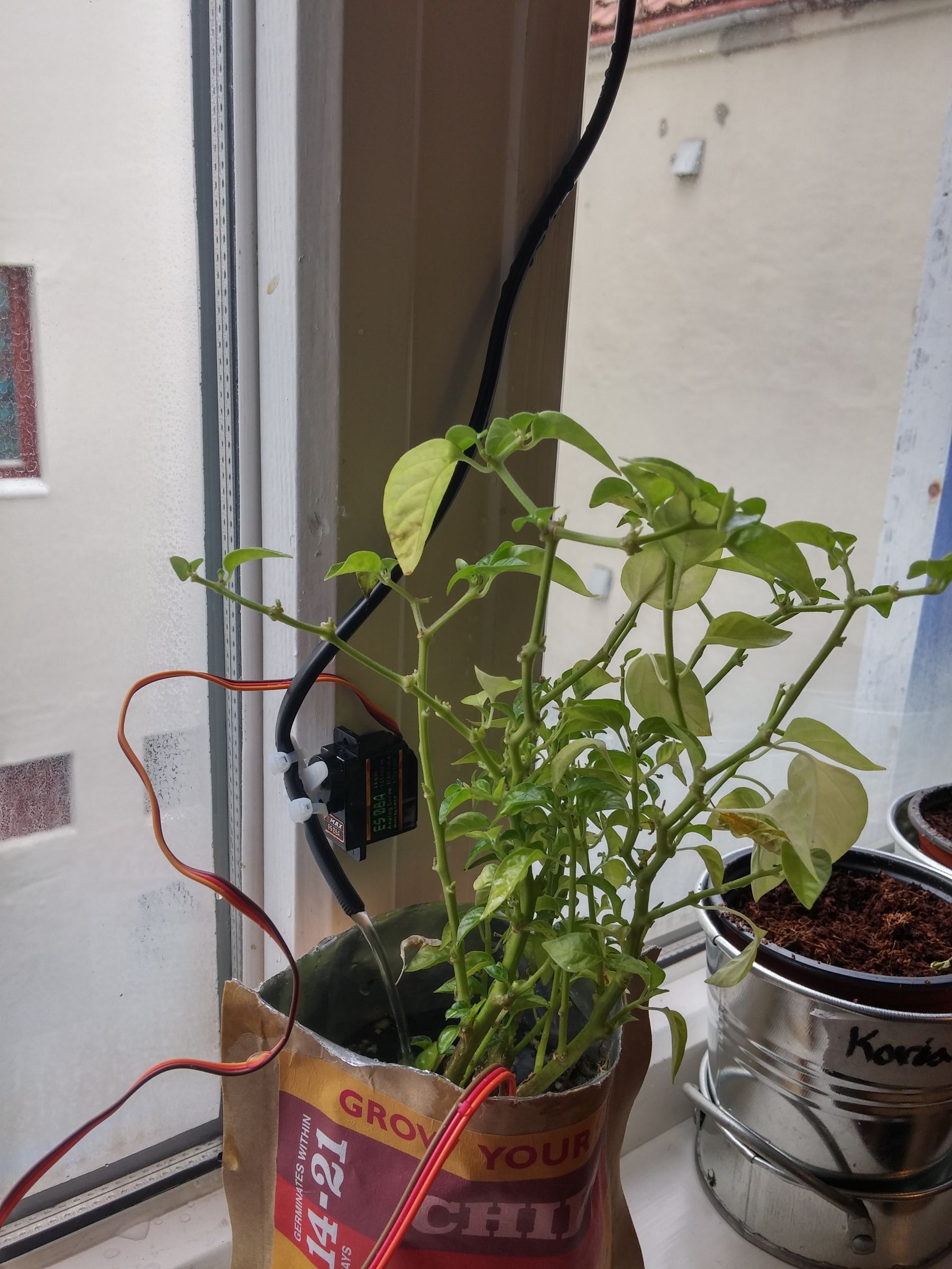 No Pump Automatic Watering! : 7 Steps (with Pictures) - Instructables