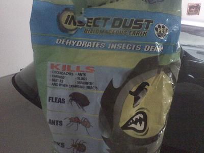 A Simple Flea Solution : 5 Steps - Instructables