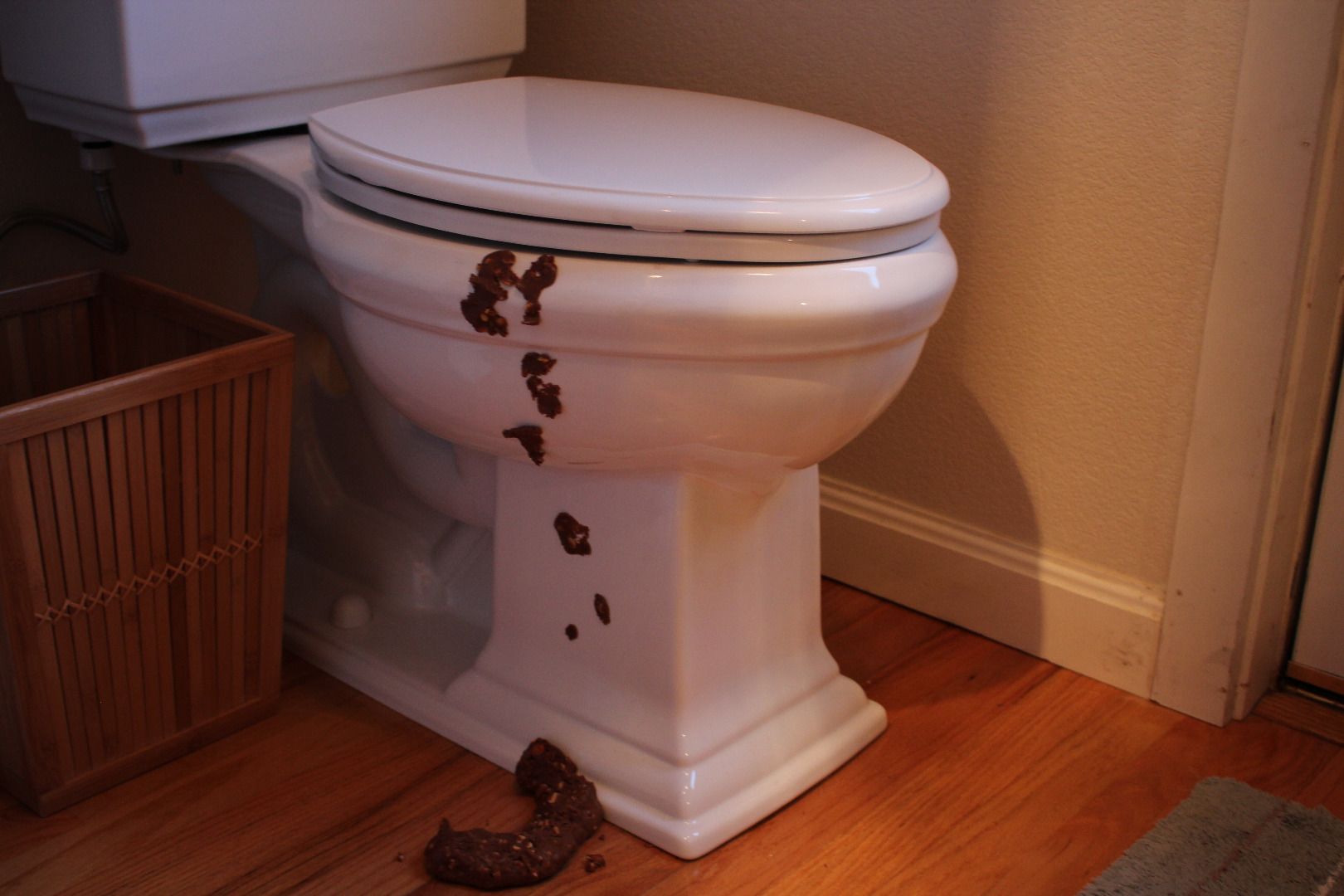 100% Edible Poop (That Didn't Come From Your Dog!) : 3 Steps ...