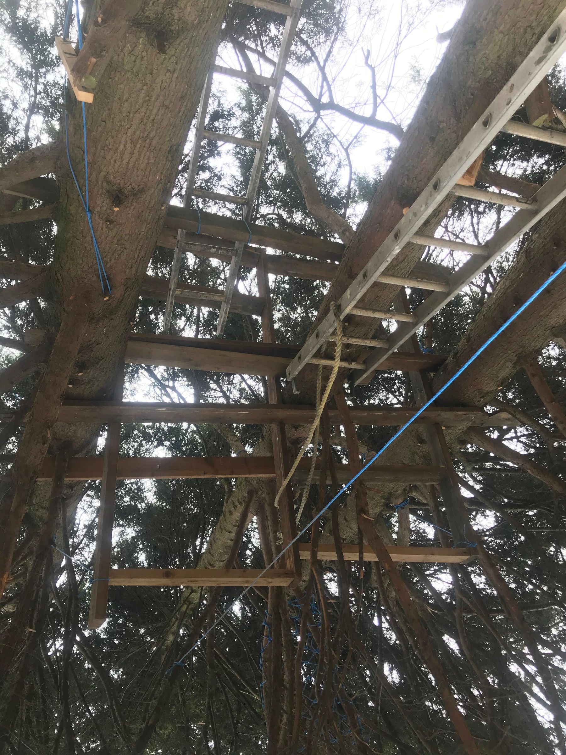 How to Build a Treehouse : 17 Steps (with Pictures) - Instructables