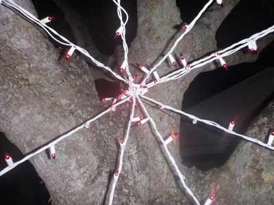 DIY GIANT Spider Web : 10 Steps (with Pictures) - Instructables