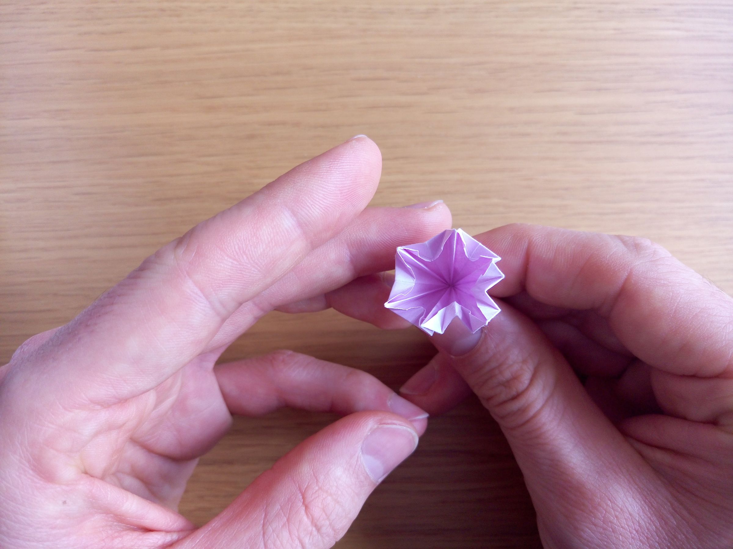 Origami Hyacinth : 9 Steps (with Pictures) - Instructables