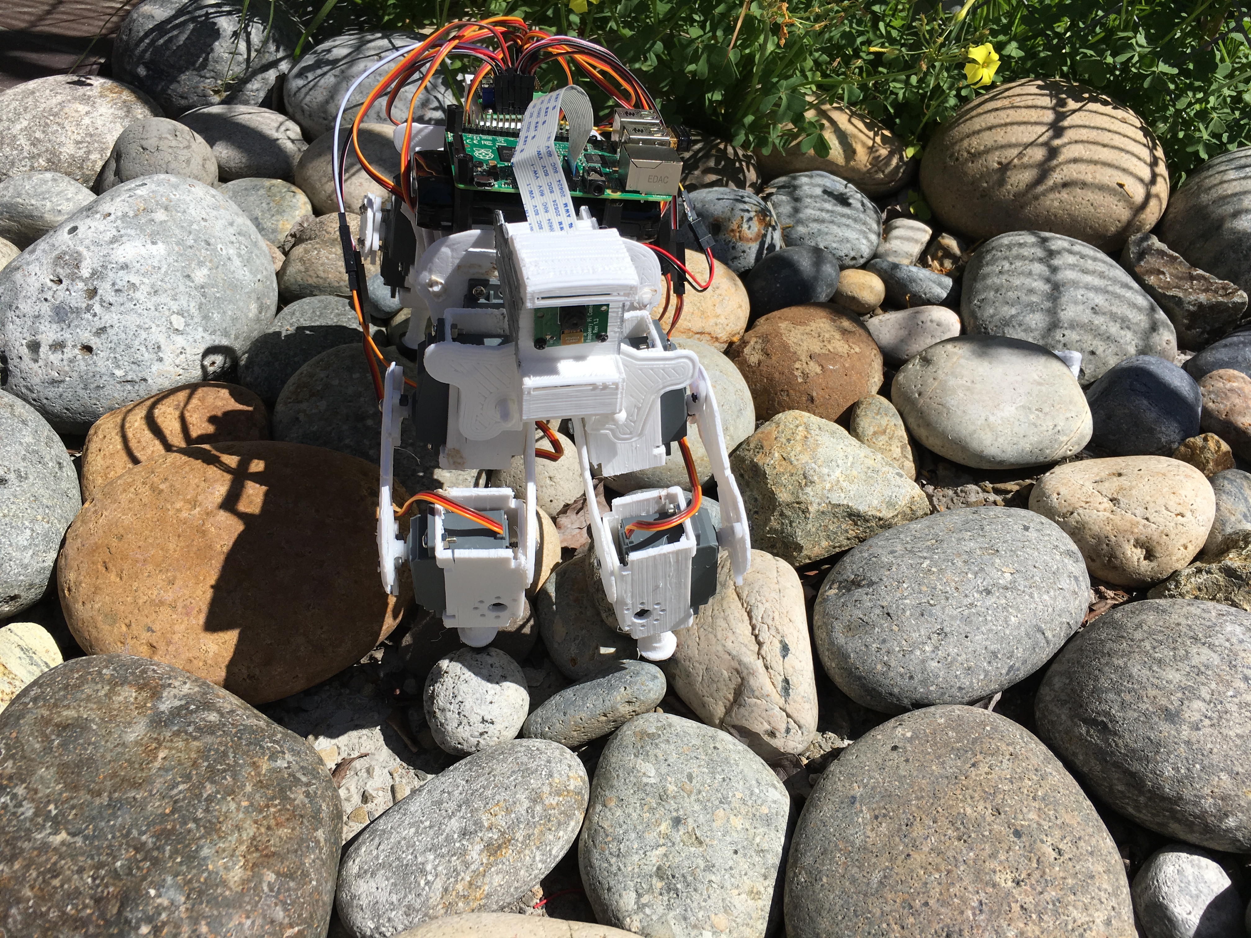 Fenrir: an Open Source Dog Robot : 16 Steps (with Pictures) - Instructables