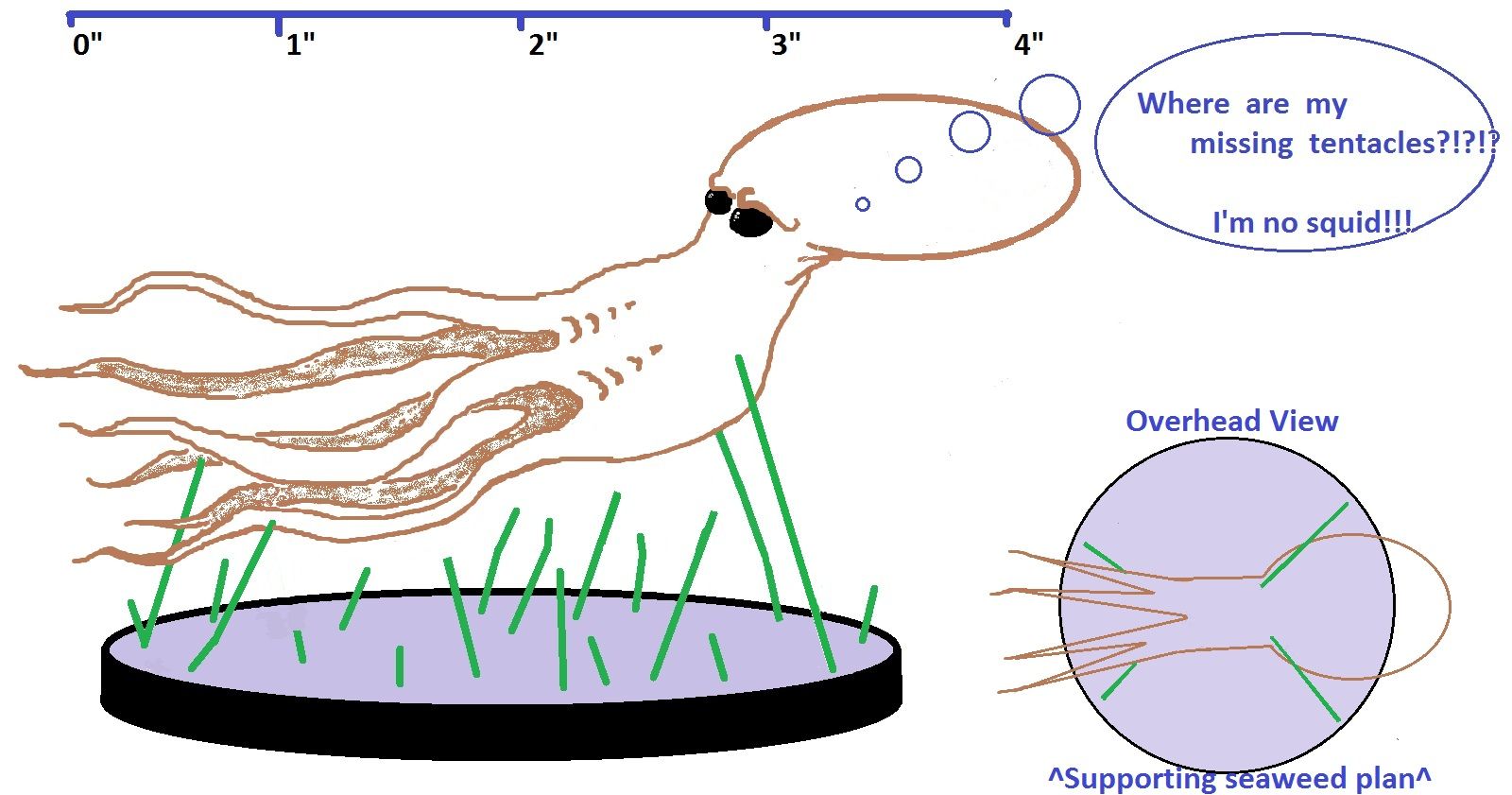 How to Make a Wire Octopus Sculpture (simplified). Cheap and Easy But ...