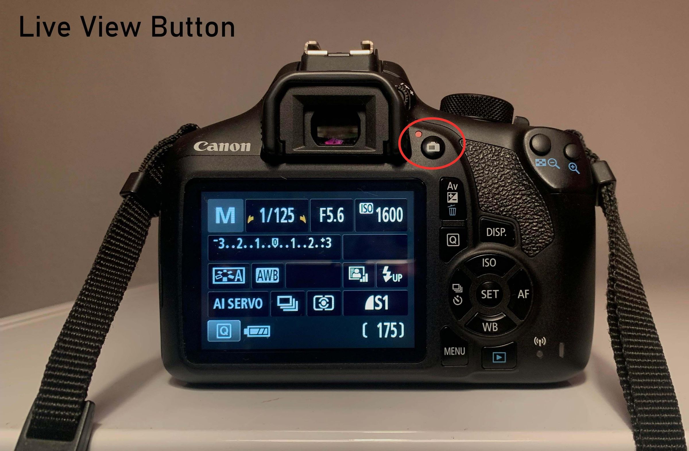 Manual Camera Settings Explained : 7 Steps (with Pictures) - Instructables