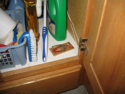 How to Trap a Mouse : 6 Steps - Instructables