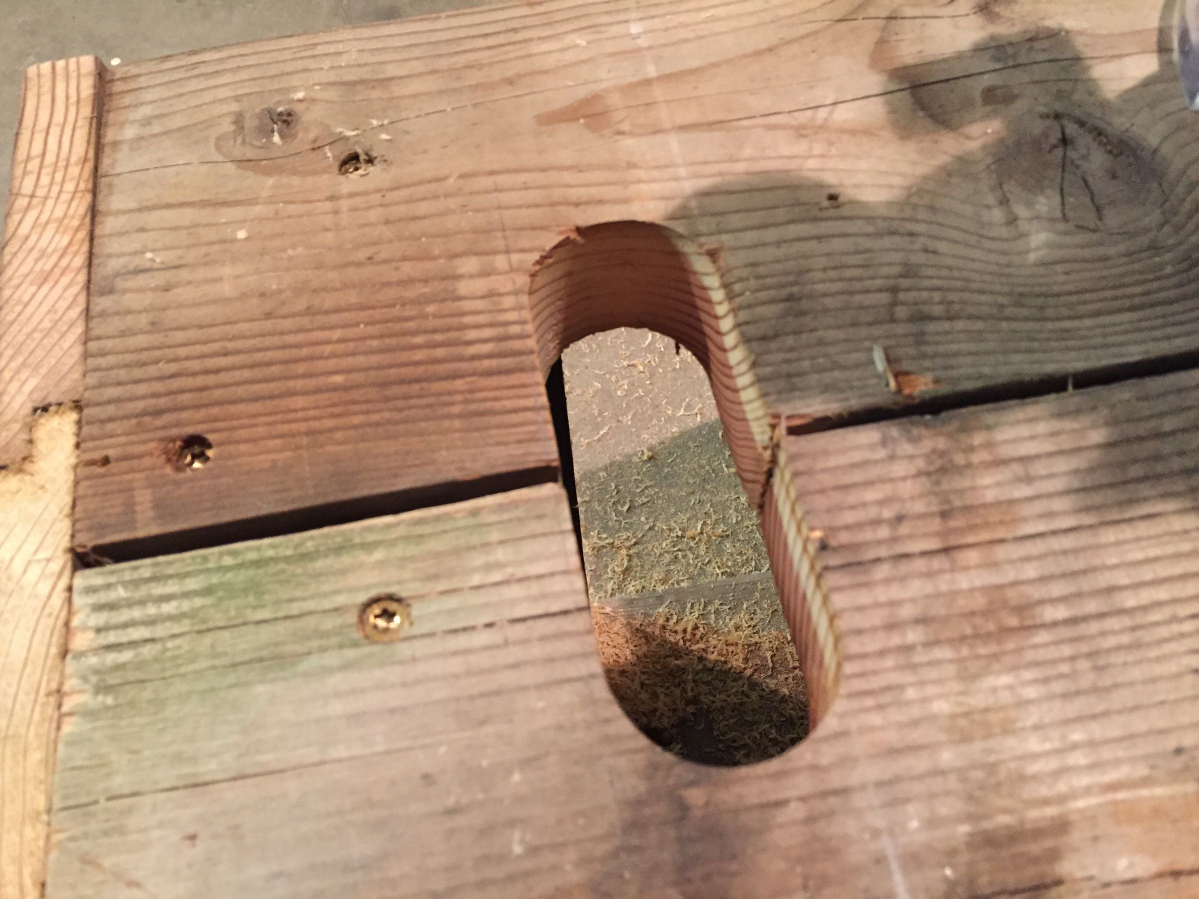 Reclaimed Step Stools : 13 Steps (with Pictures) - Instructables