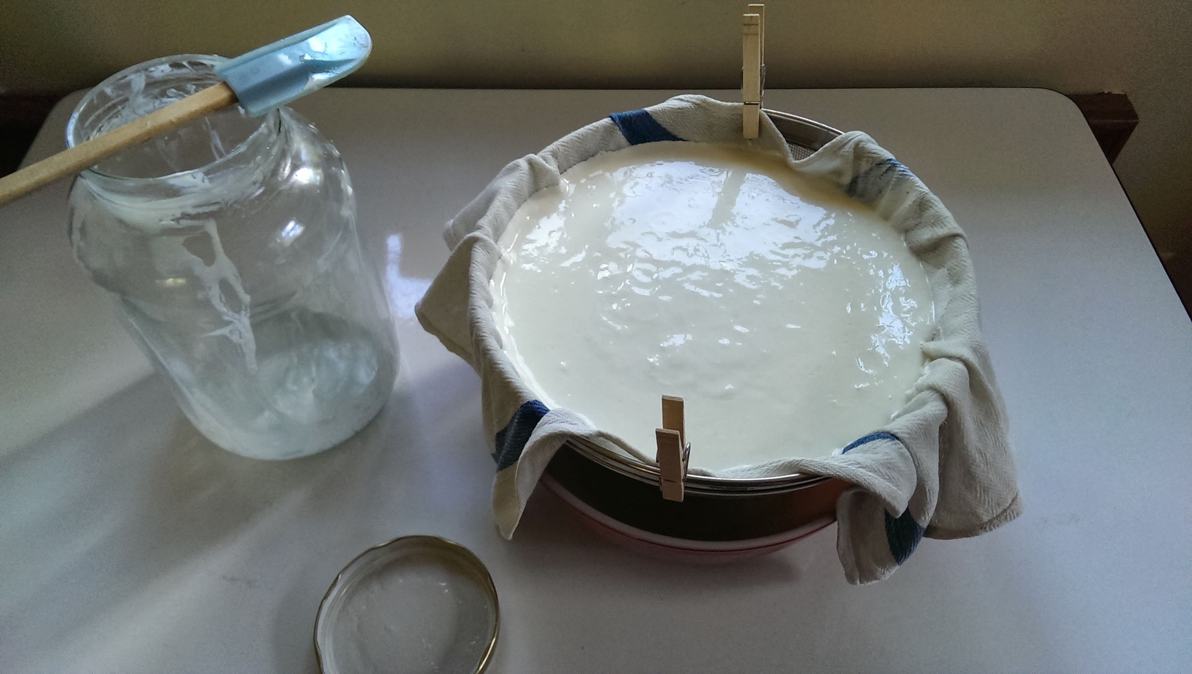 Greek Yogurt, From Scratch! : 7 Steps (with Pictures) - Instructables