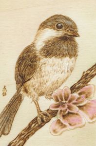 Pyrography: Step by Step Burn a Chickadee : 10 Steps (with Pictures ...