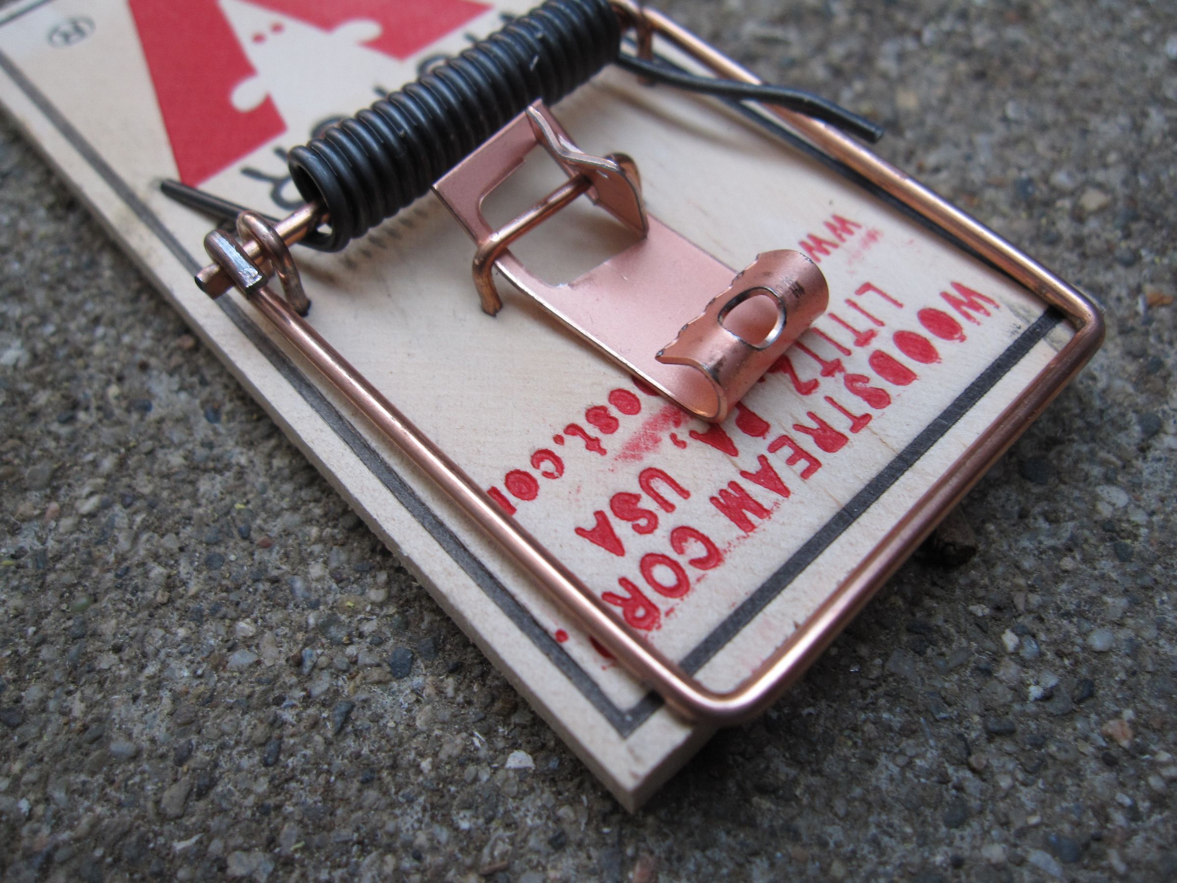 Mousetrap Car Racer : 8 Steps - Instructables