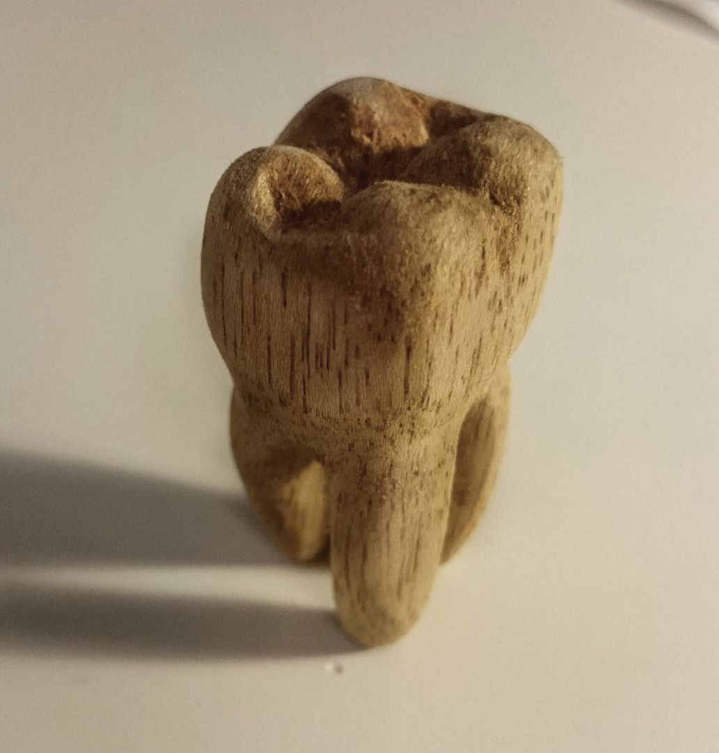 Carved Wooden Tooth : 4 Steps - Instructables