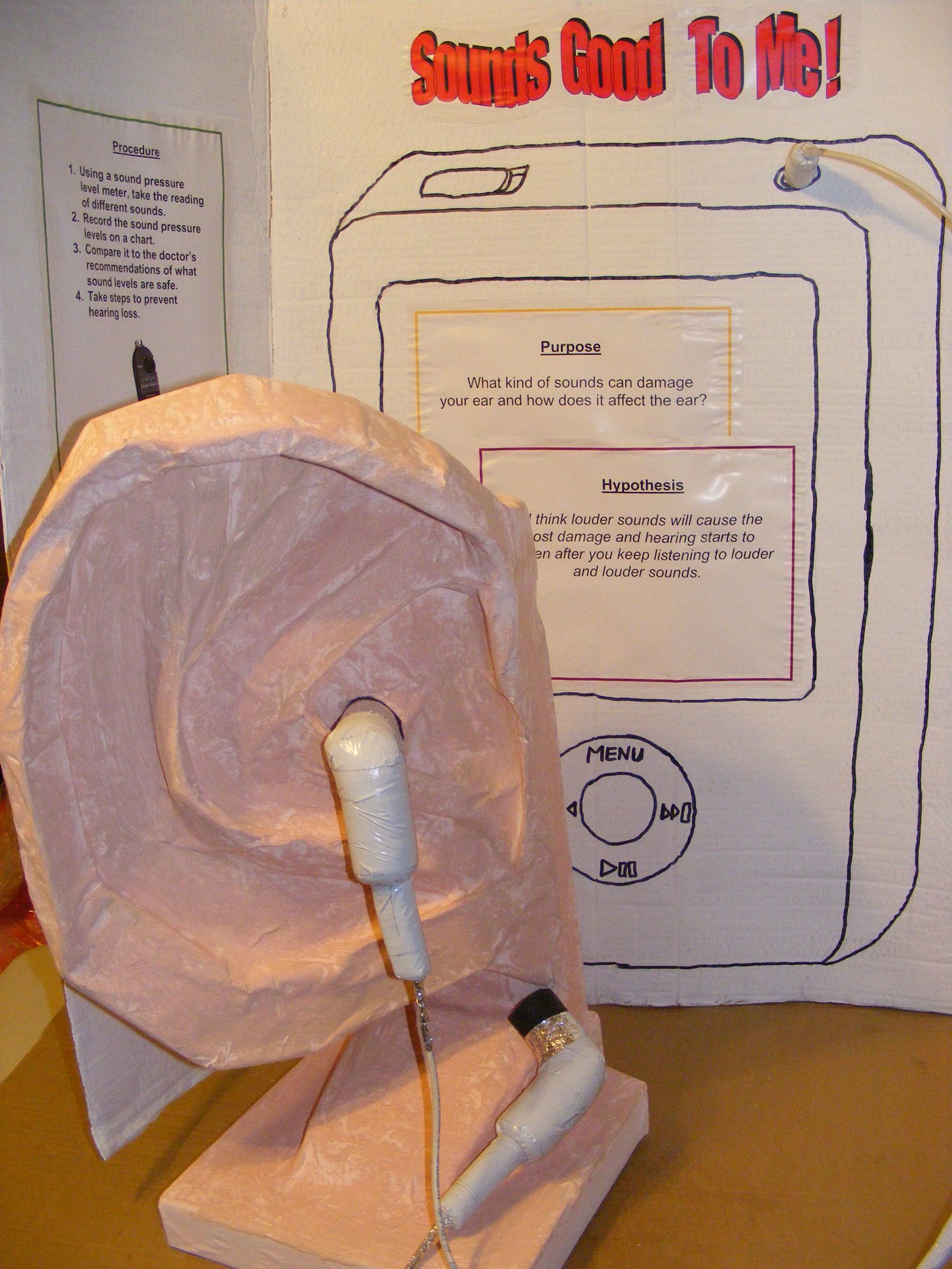 Science Fair Display Board : 3 Steps - Instructables