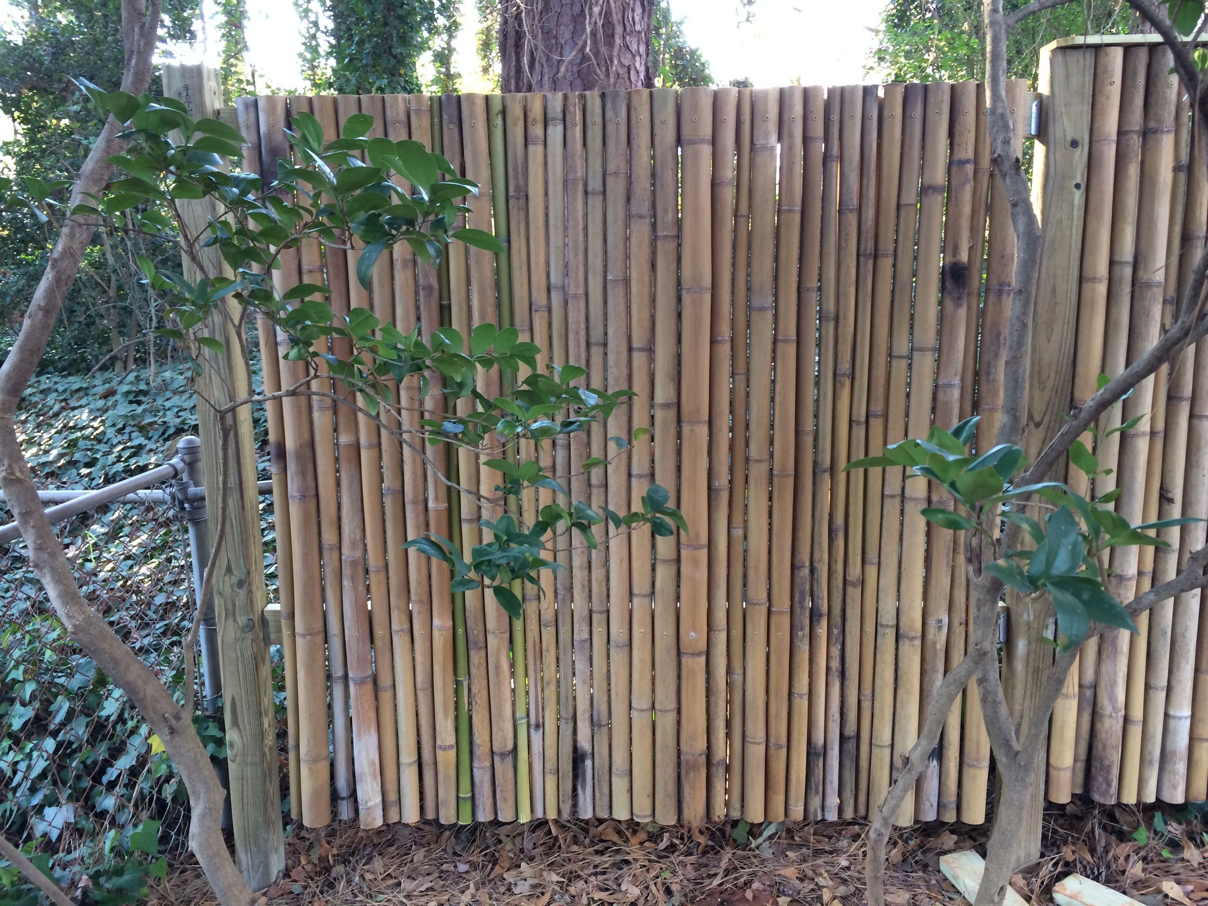 Bamboo Fence : 41 Steps (with Pictures) - Instructables