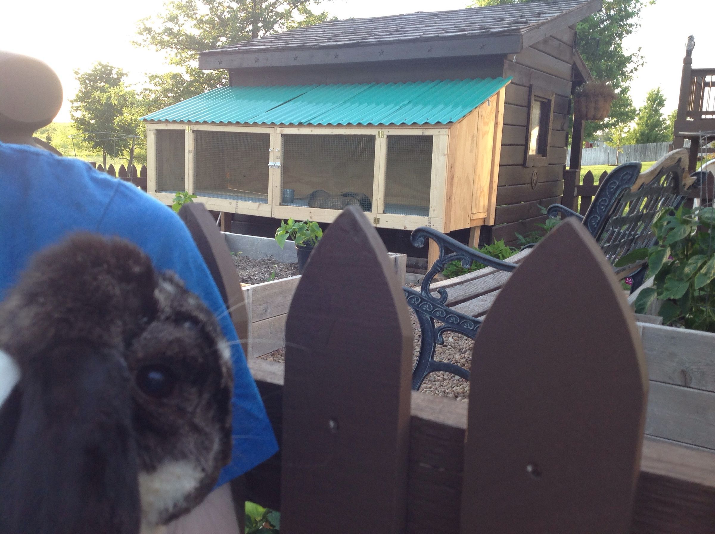 A Kid-Friendly Rabbit Hotel : 12 Steps (with Pictures) - Instructables