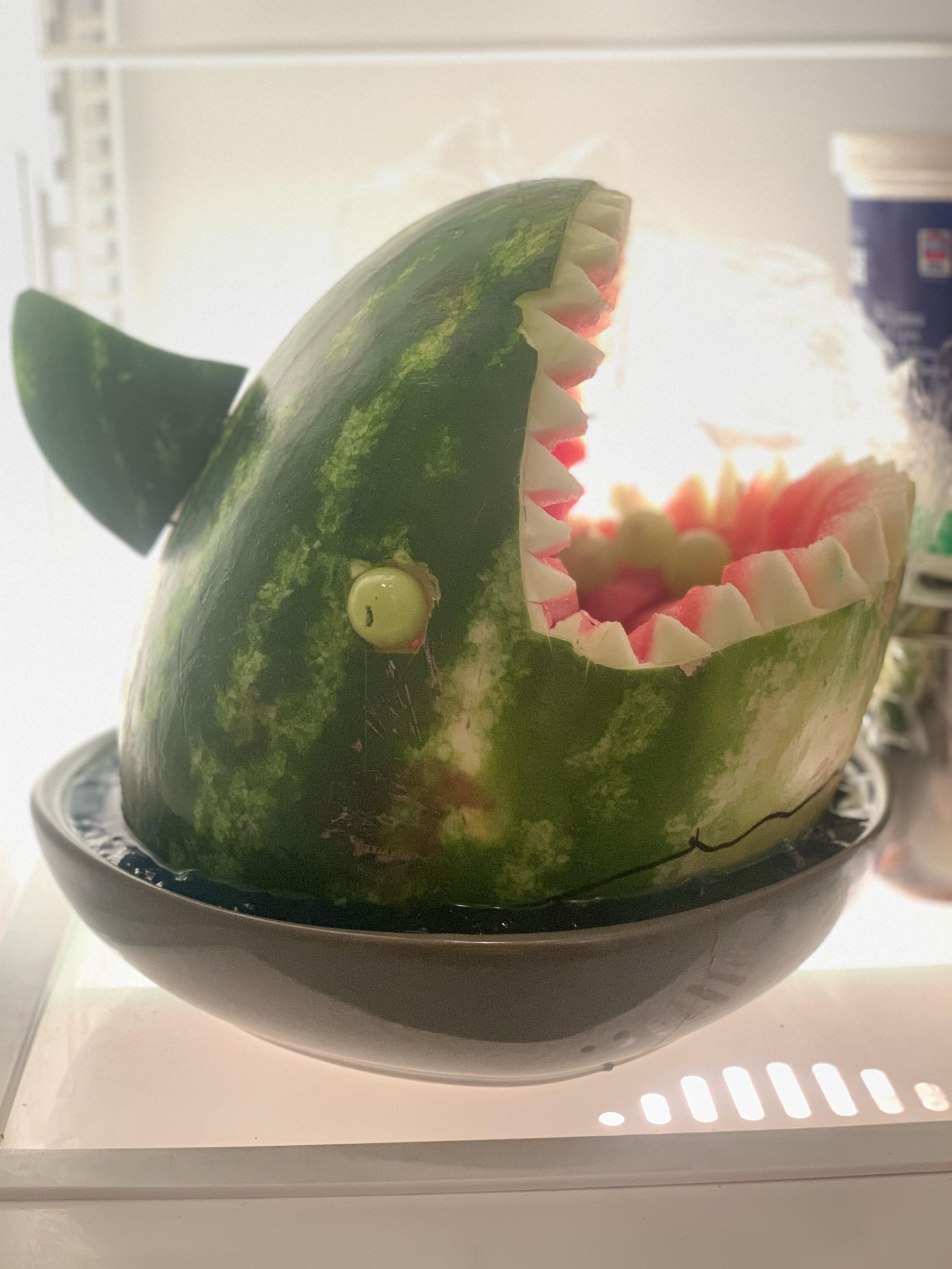 Watermelon Shark : 13 Steps (with Pictures) - Instructables