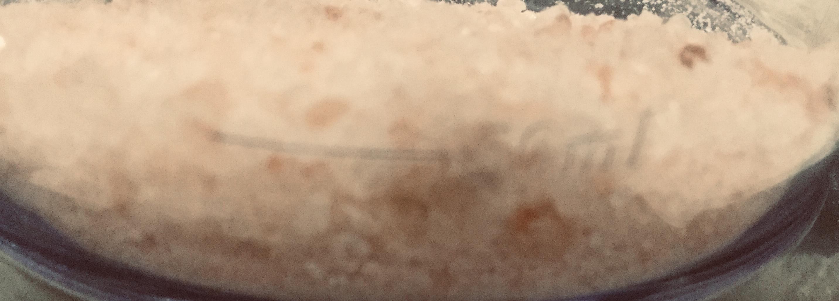 Marine Ecosystem Model With Candy! : 30 Steps - Instructables