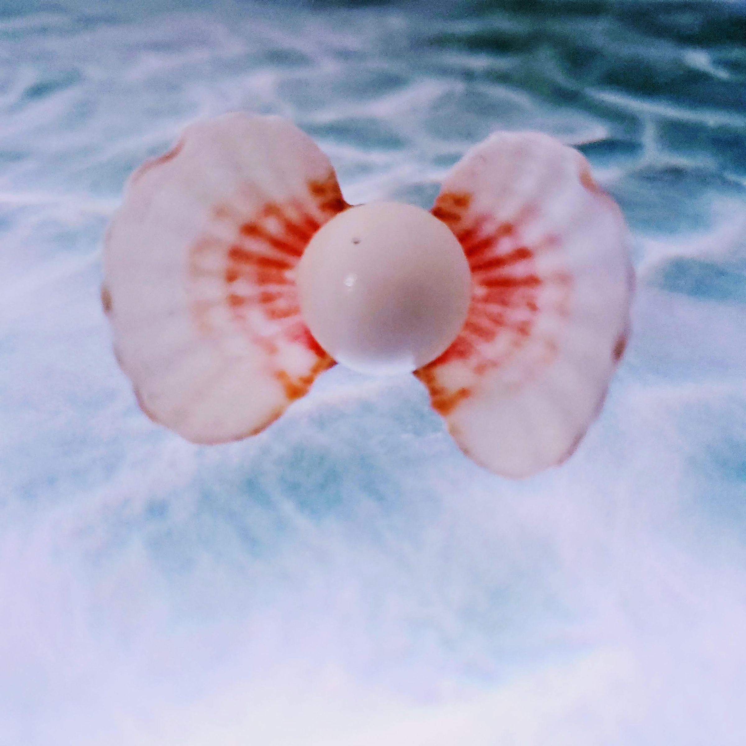 Pearl With Shell Pendant : 5 Steps (with Pictures) - Instructables